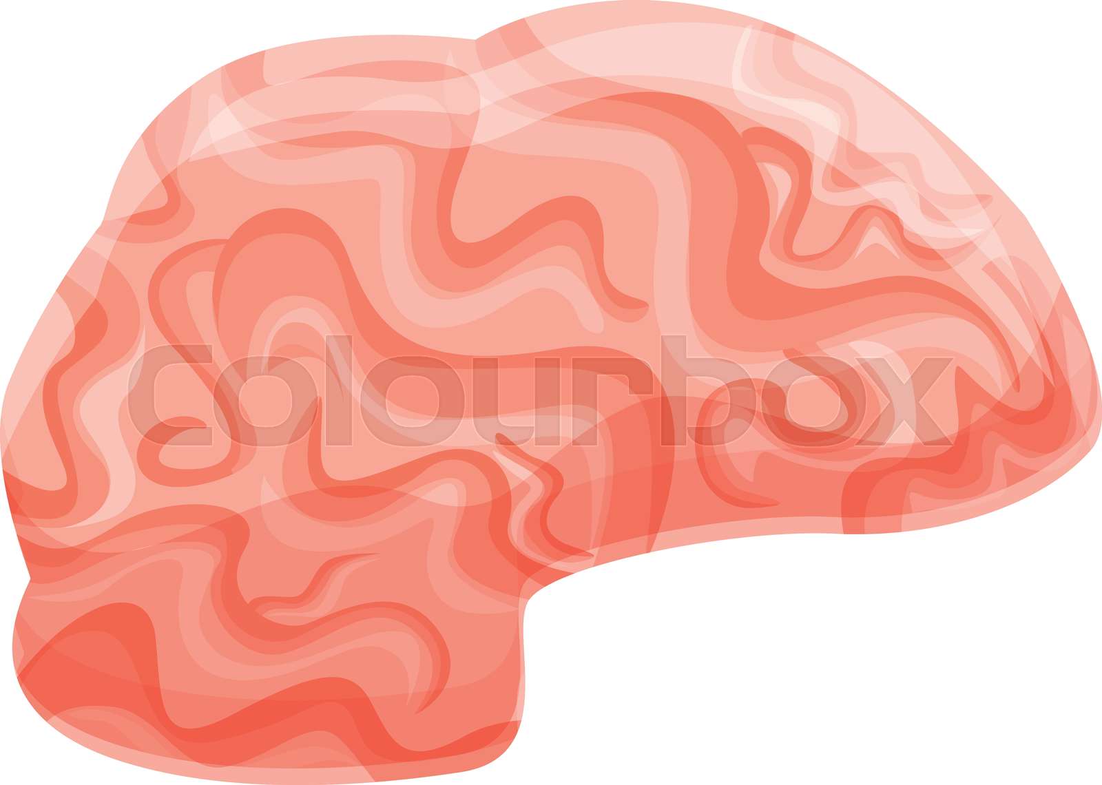 Human brain biology icon, cartoon style | Stock vector | Colourbox Human brain biology icon, cartoon style | Stock vector | Colourbox