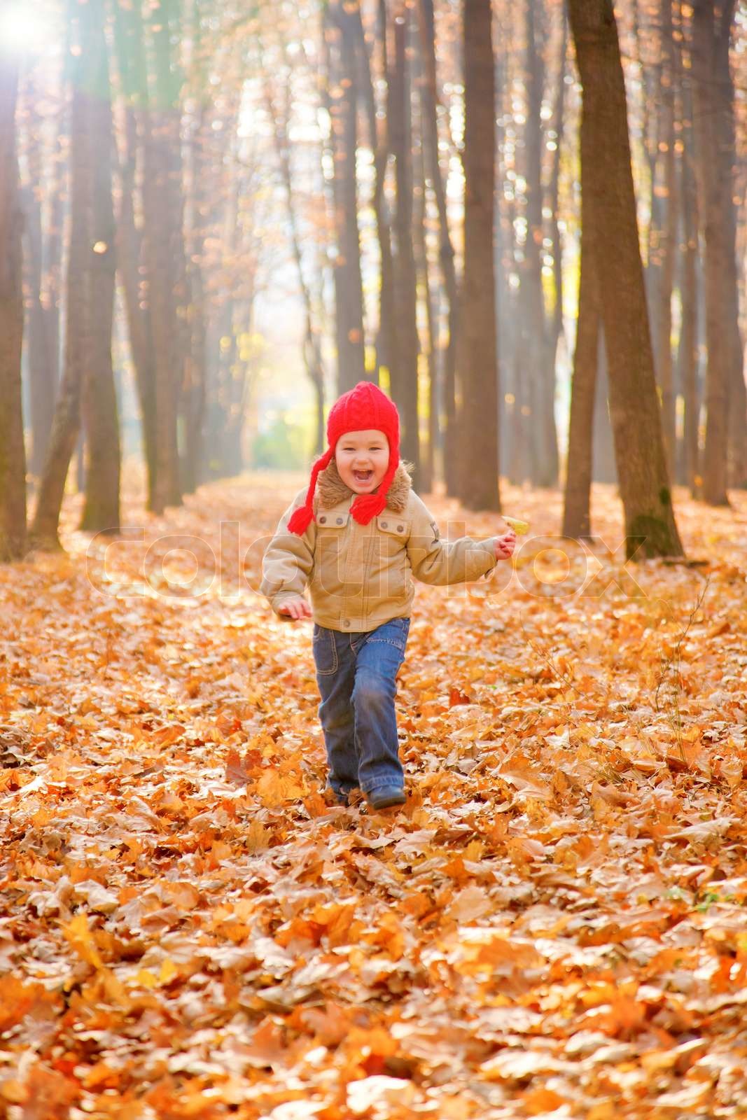 Leende barn der løber i efterårsskov med faldende blade | Stock foto ...
