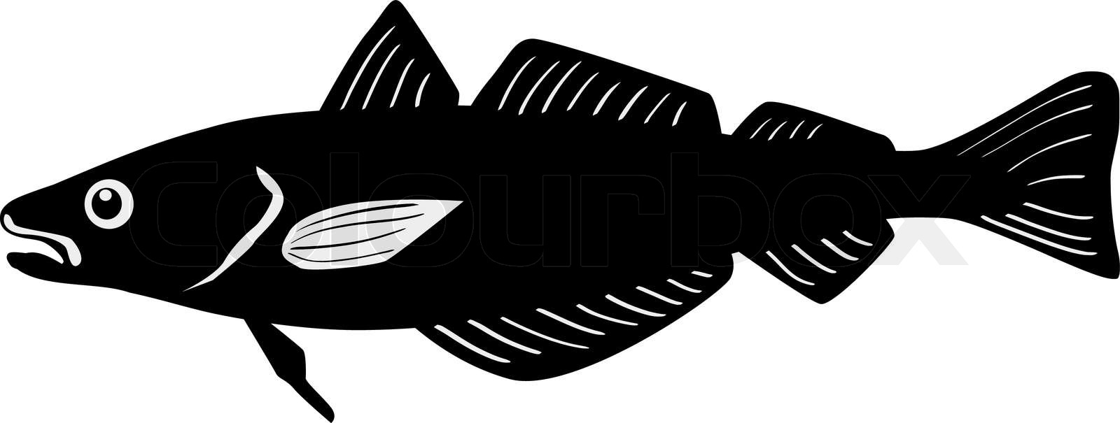 Silhouette of whiting fish | Stock vector | Colourbox