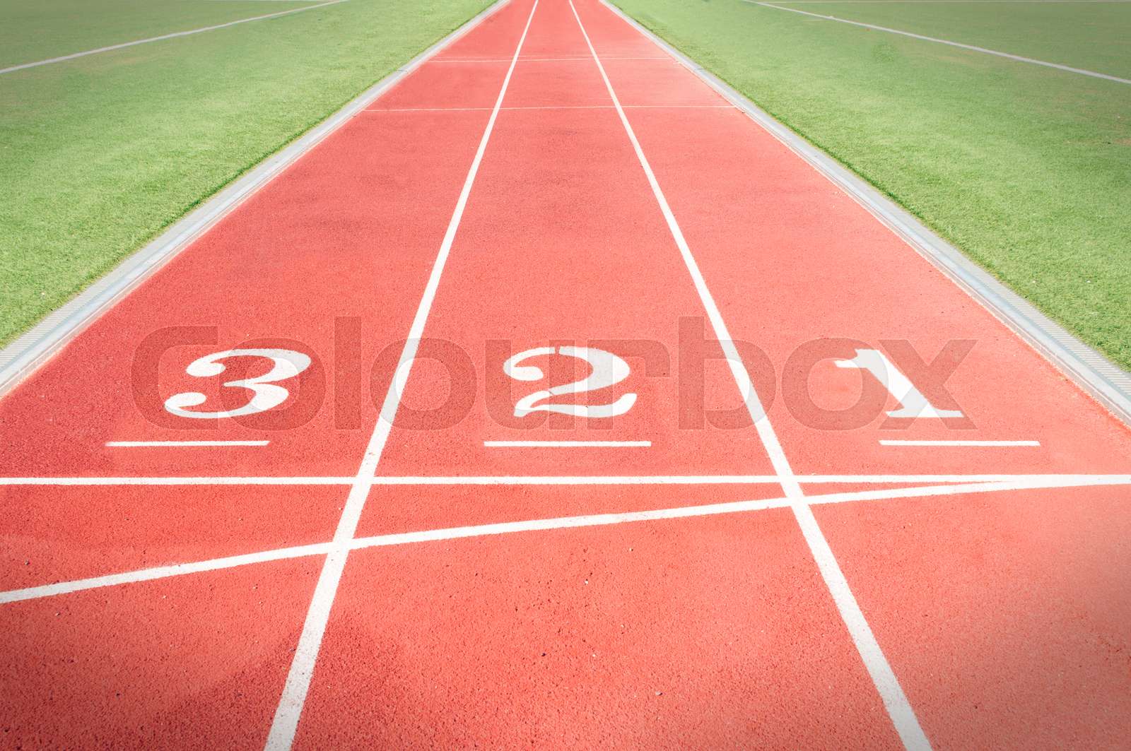 Starting grid on a running track | Stock image | Colourbox
