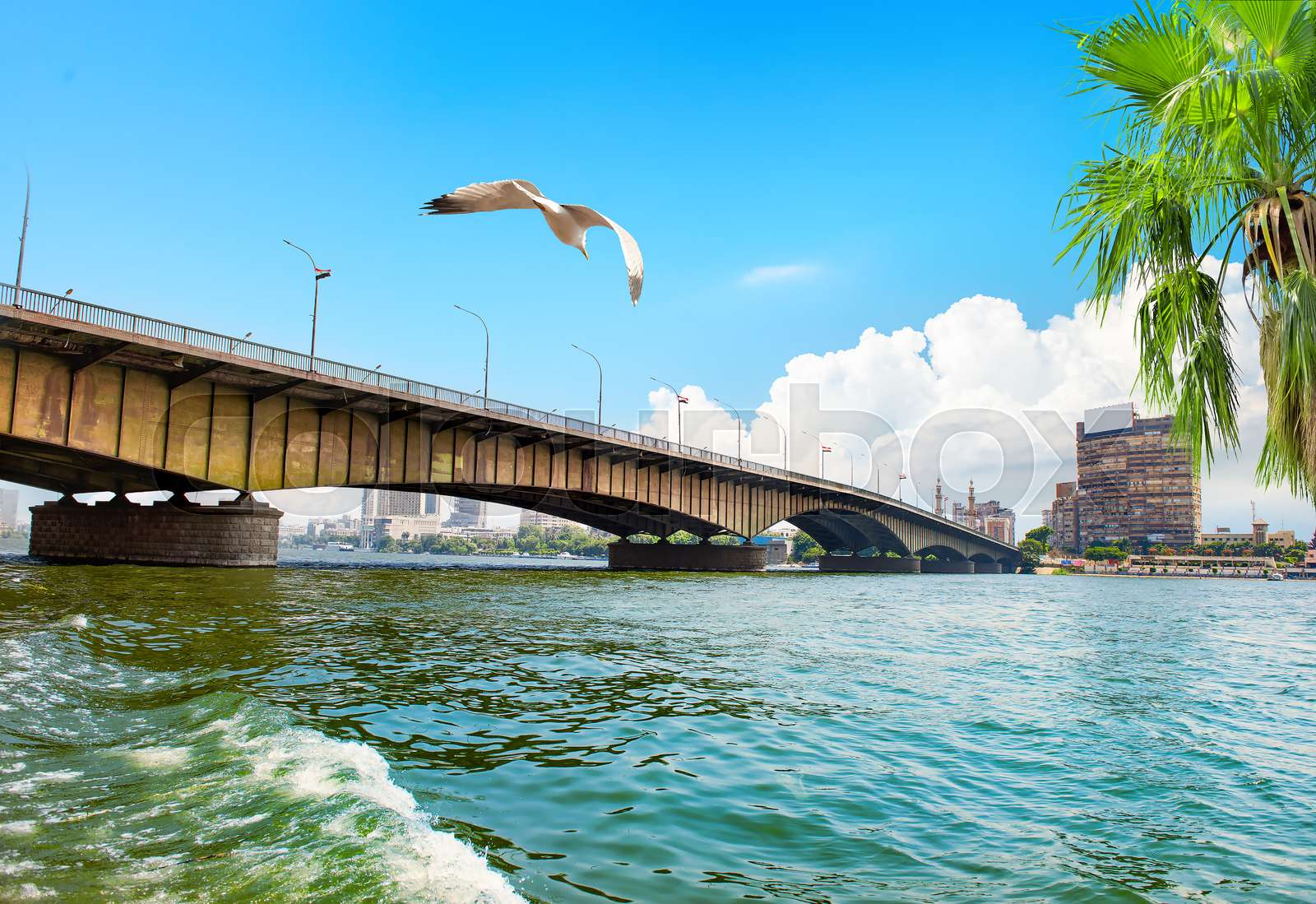 Bridge in Cairo | Stock image | Colourbox