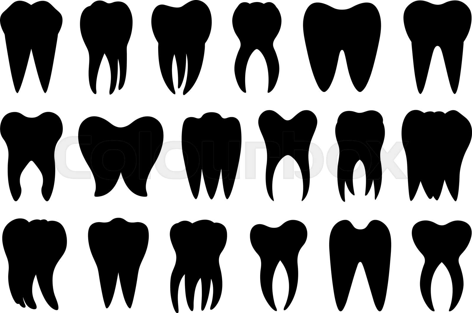 Set of different teeth | Stock vector | Colourbox