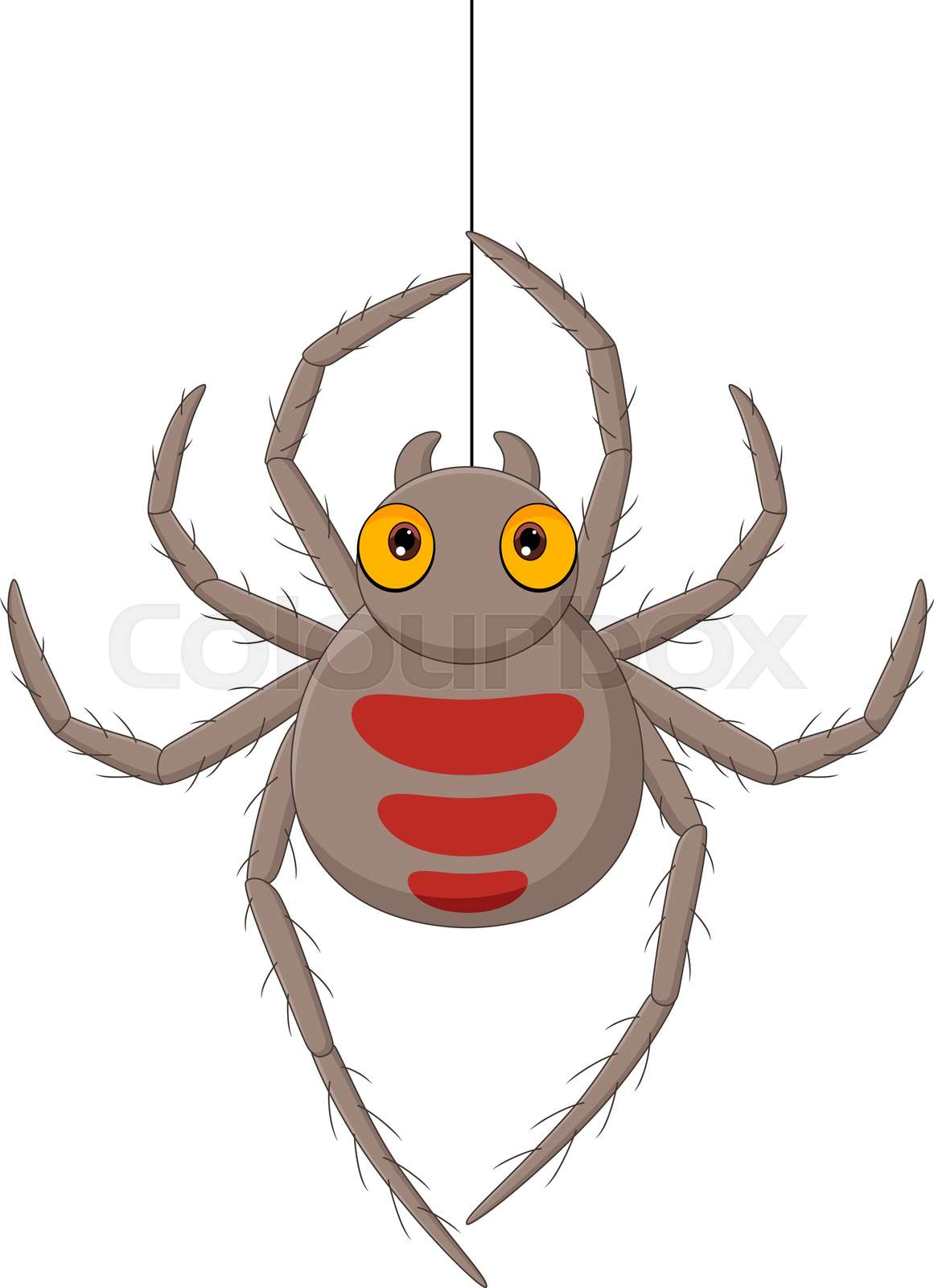 Cartoon spider hanging on a web | Stock vector | Colourbox