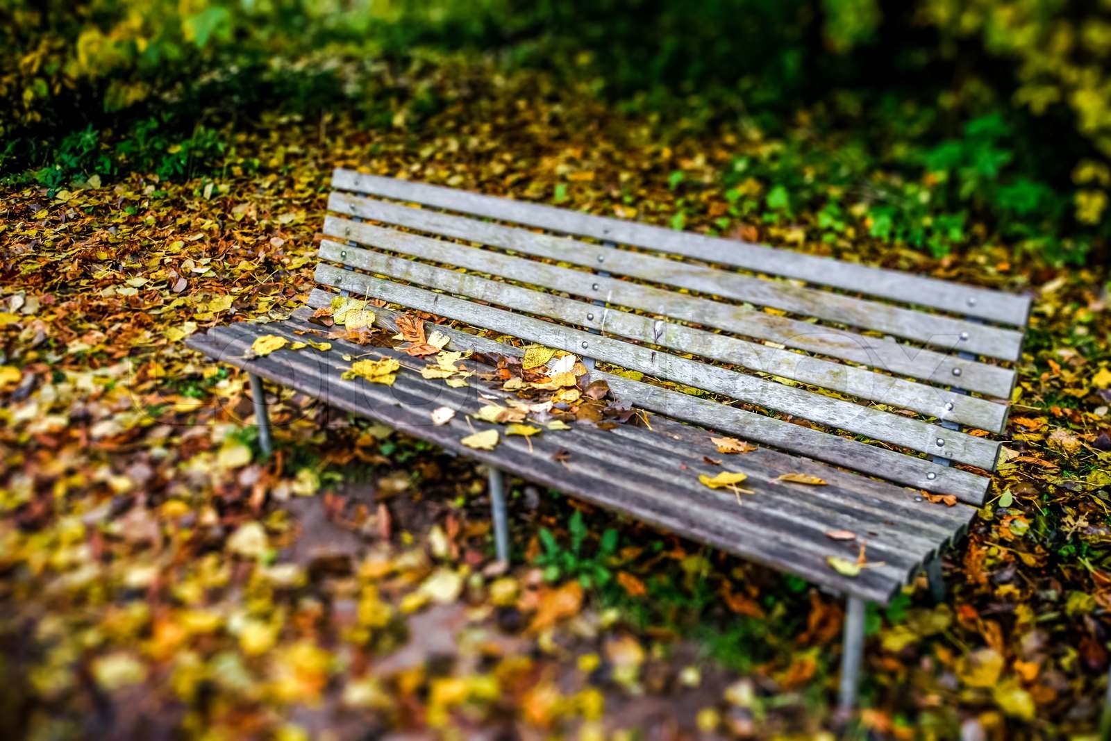 Autumn leaves on a bench | Stock image | Colourbox