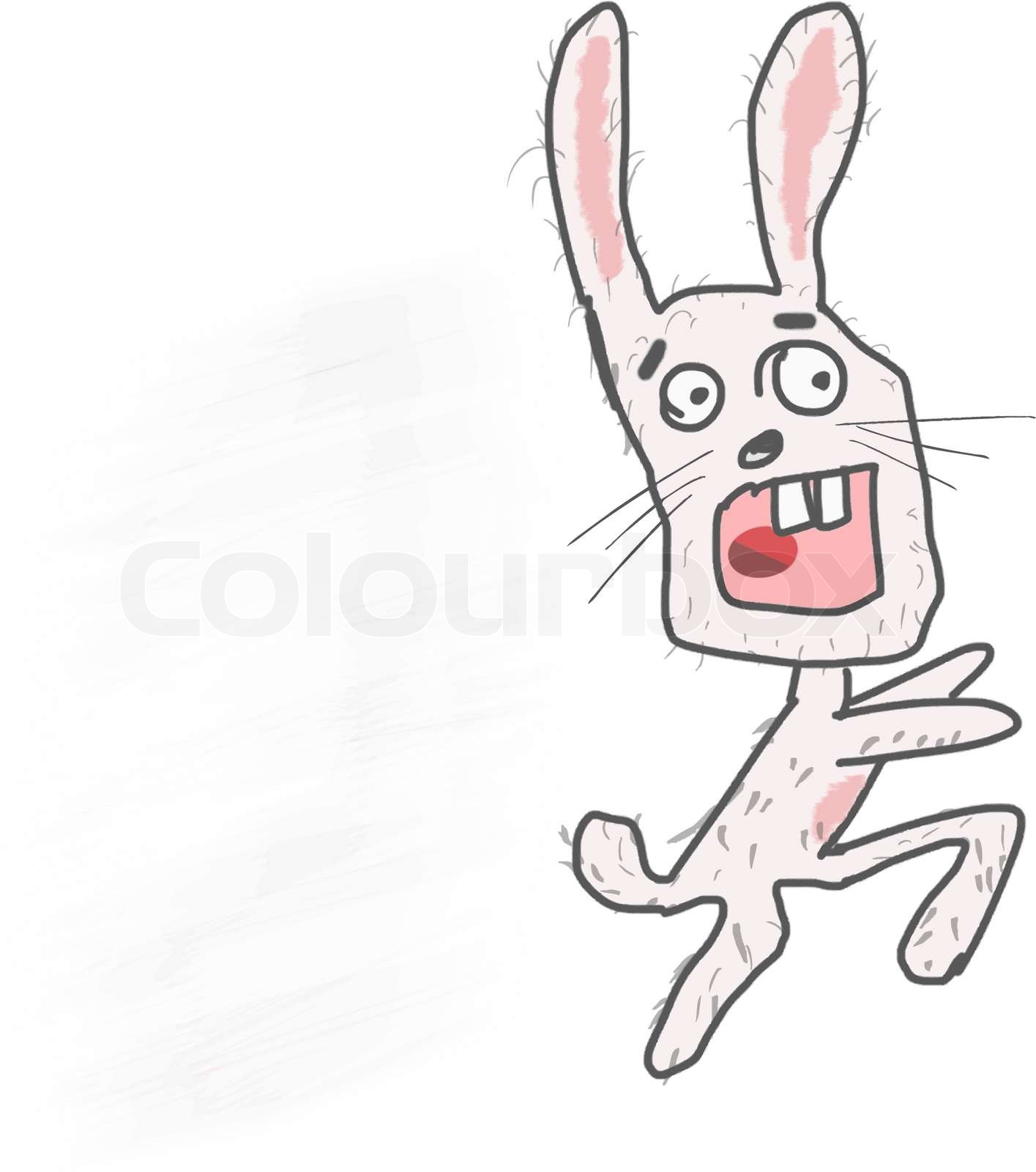 Hase | Stock-Vektor | Colourbox