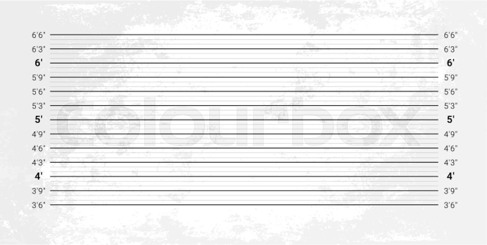 Mugshot background. Police lineup wall. Mug-shot measuring scale ...