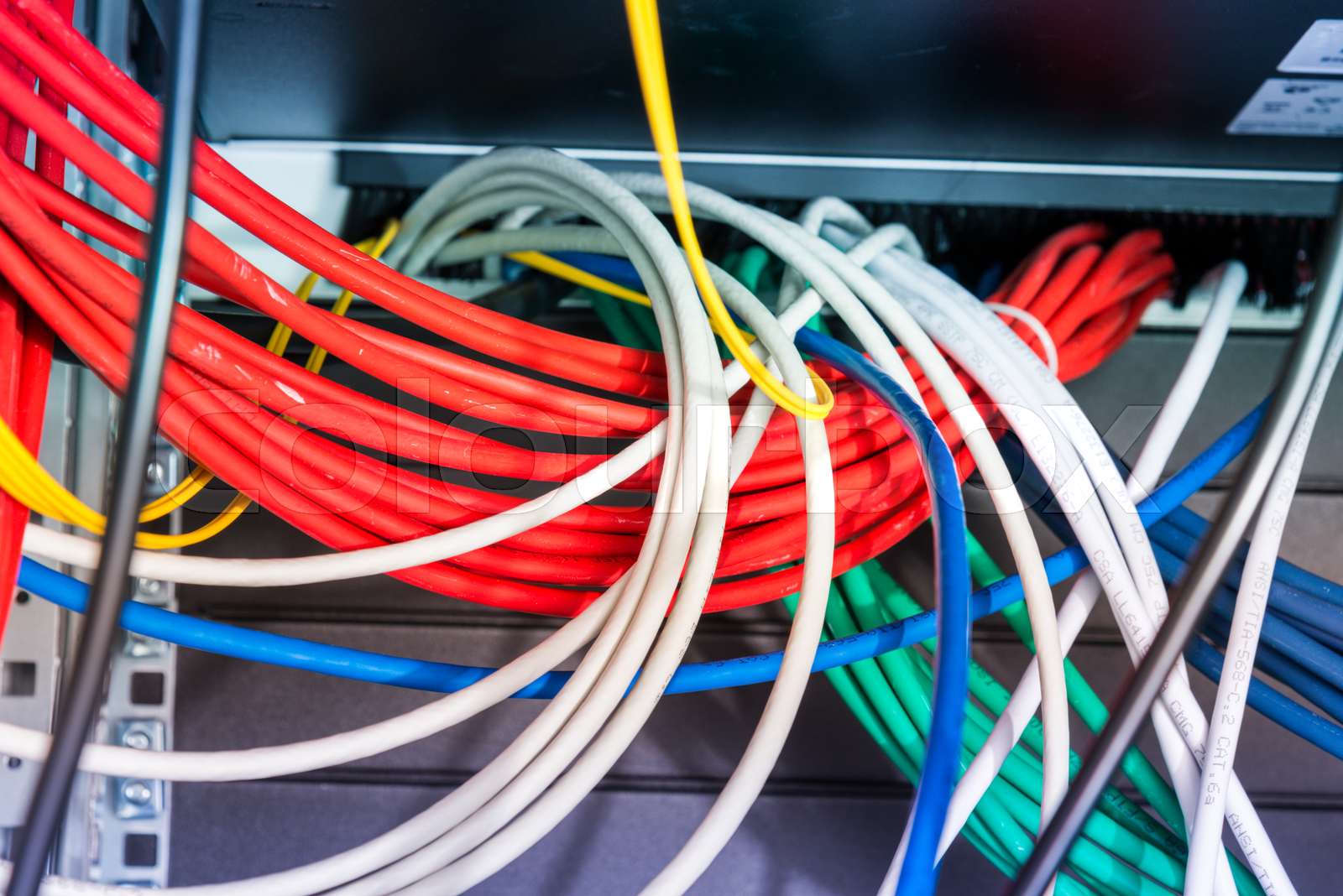 large group of UTP cables, Ethernet cables in rack cabinet, lead ...