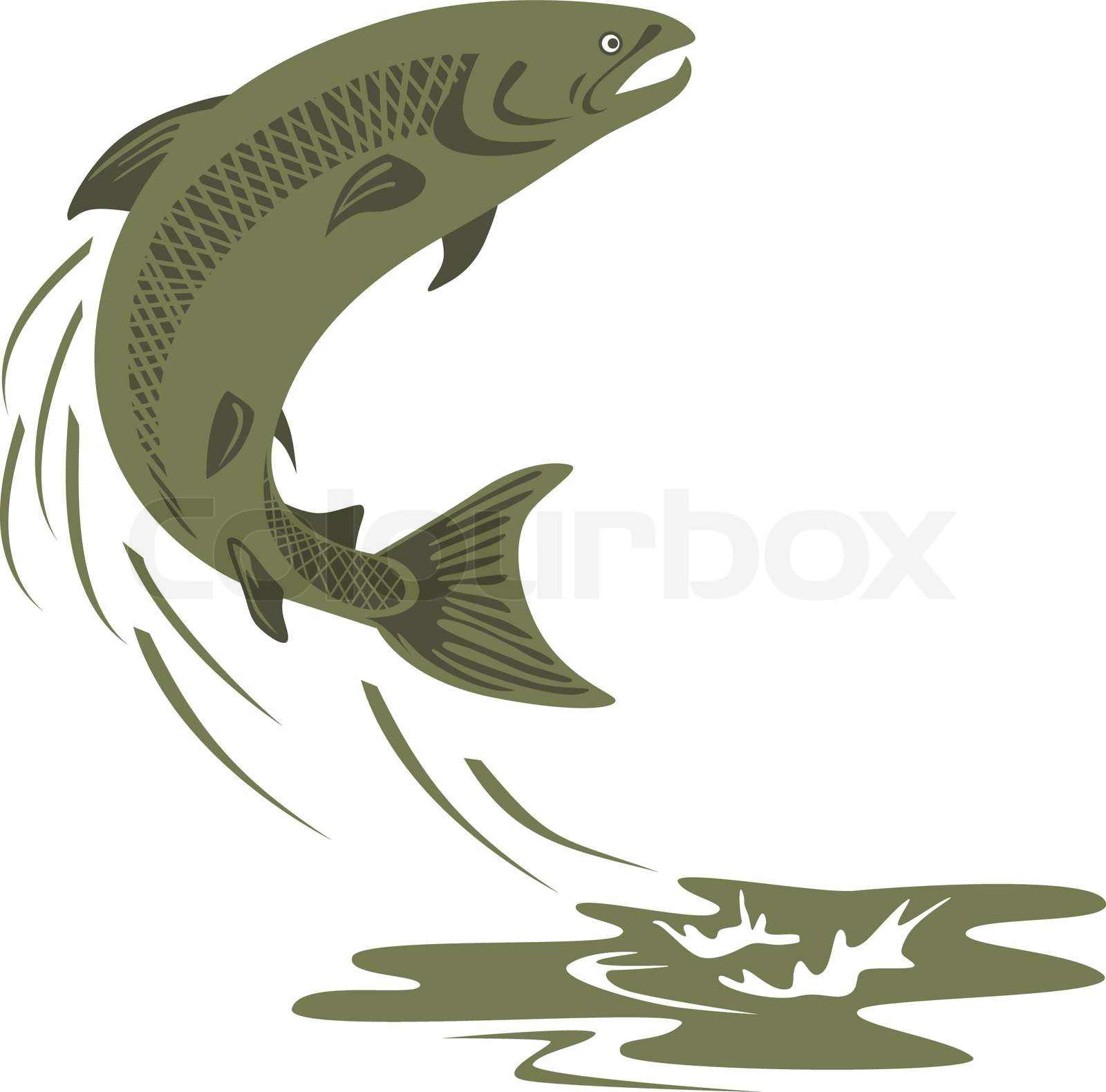 Trout Fish Jumping Retro | Stock vector | Colourbox