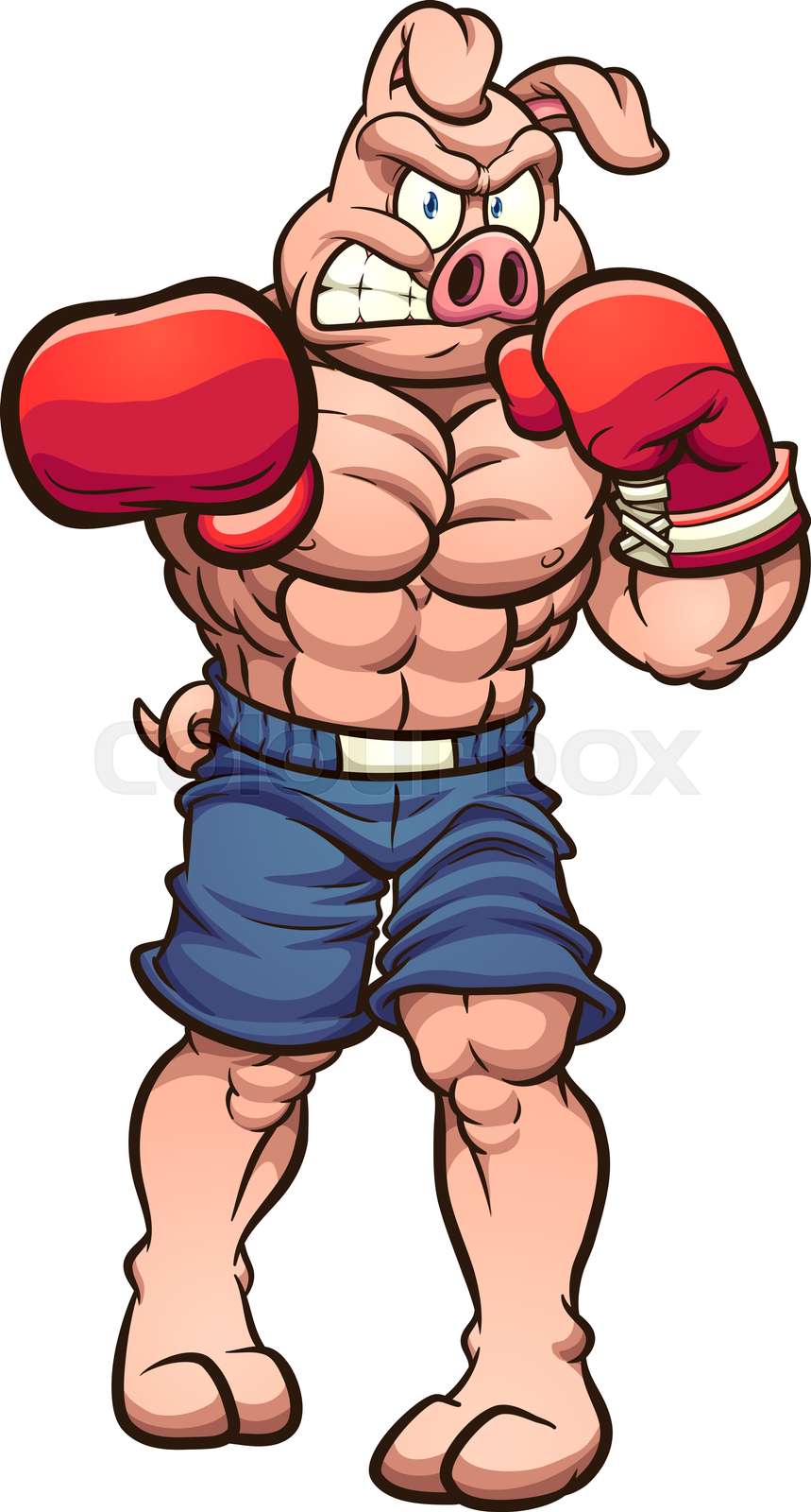 Boxing pig | Stock vector | Colourbox