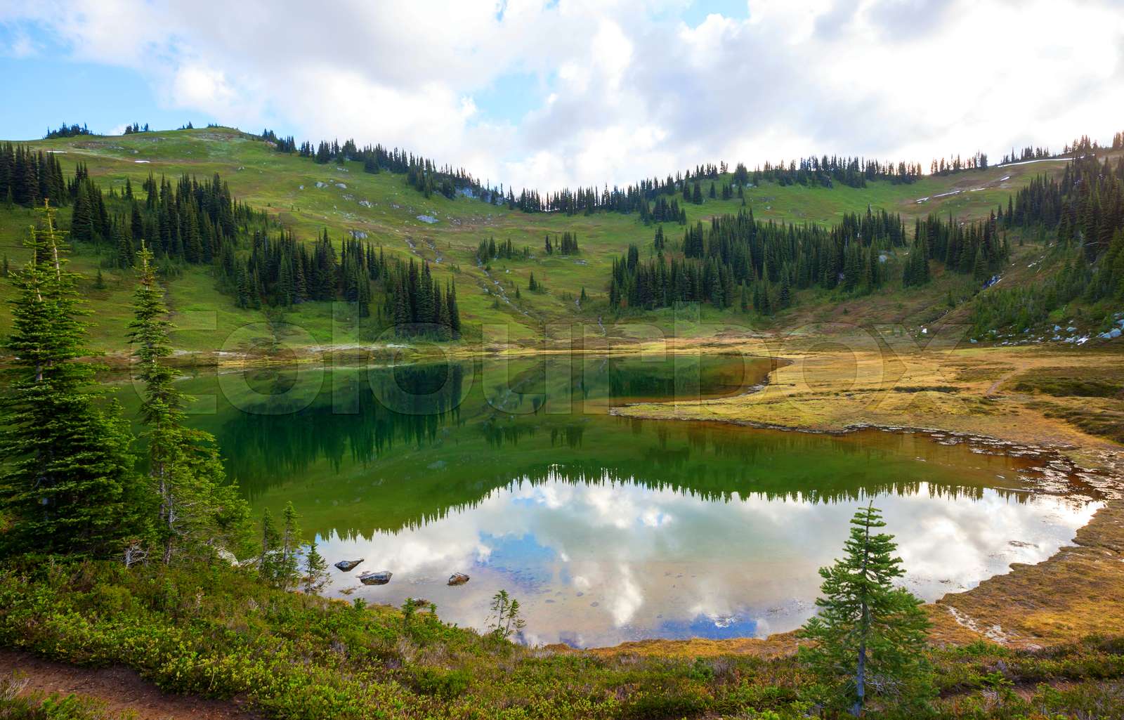 Summer lake | Stock image | Colourbox