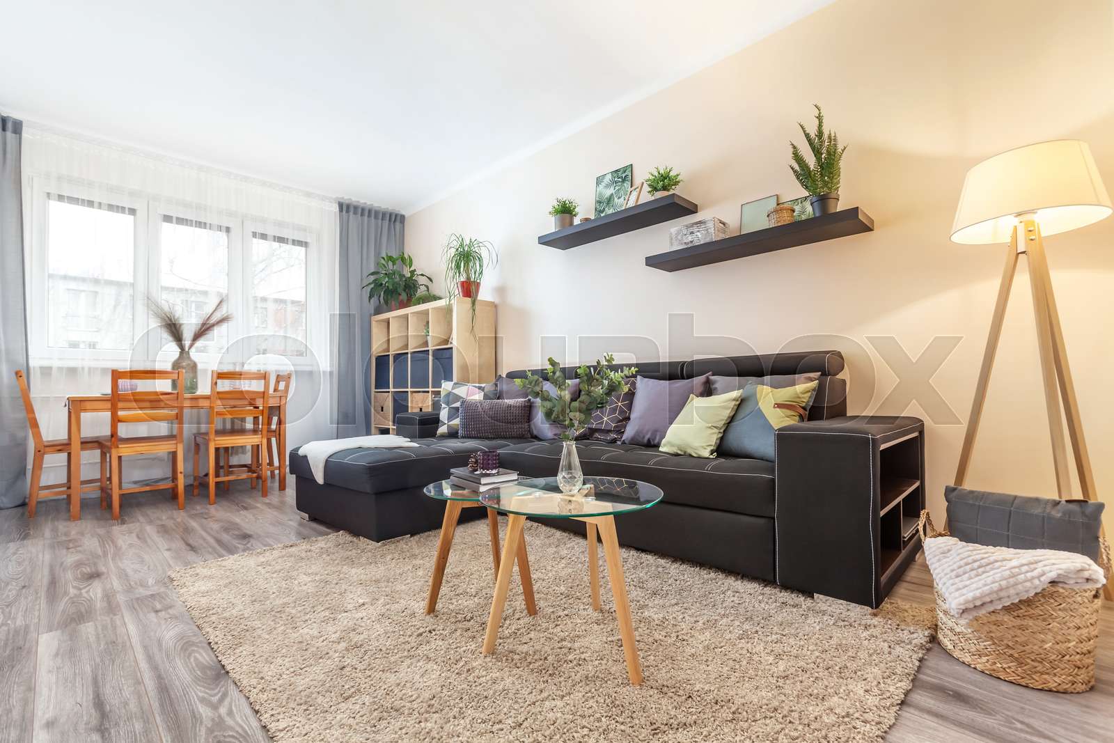Interior photo shoot in a modern apartment. | Stock image | Colourbox