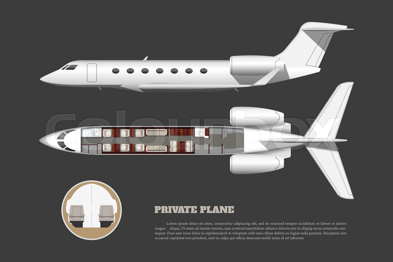 Private airplane interior. Side and top view of bussiness plane. Plane ...