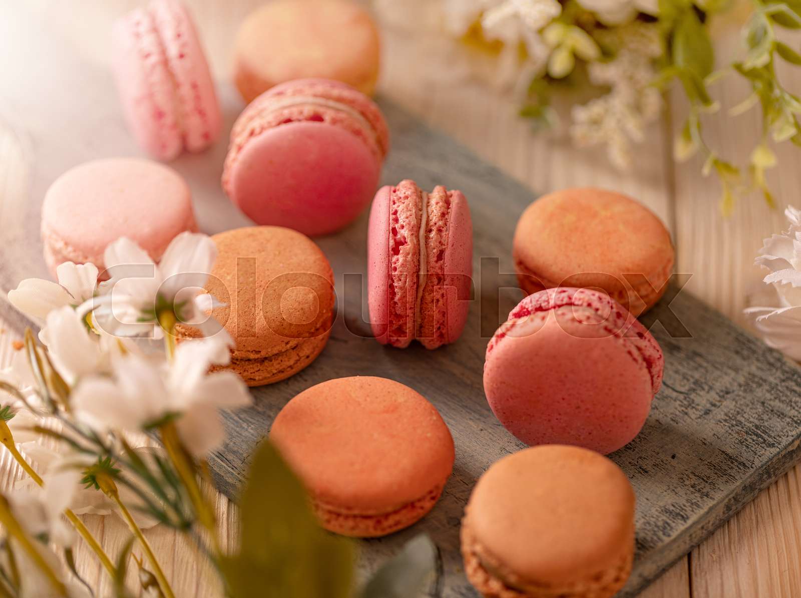 Still life of macarons | Stock image | Colourbox