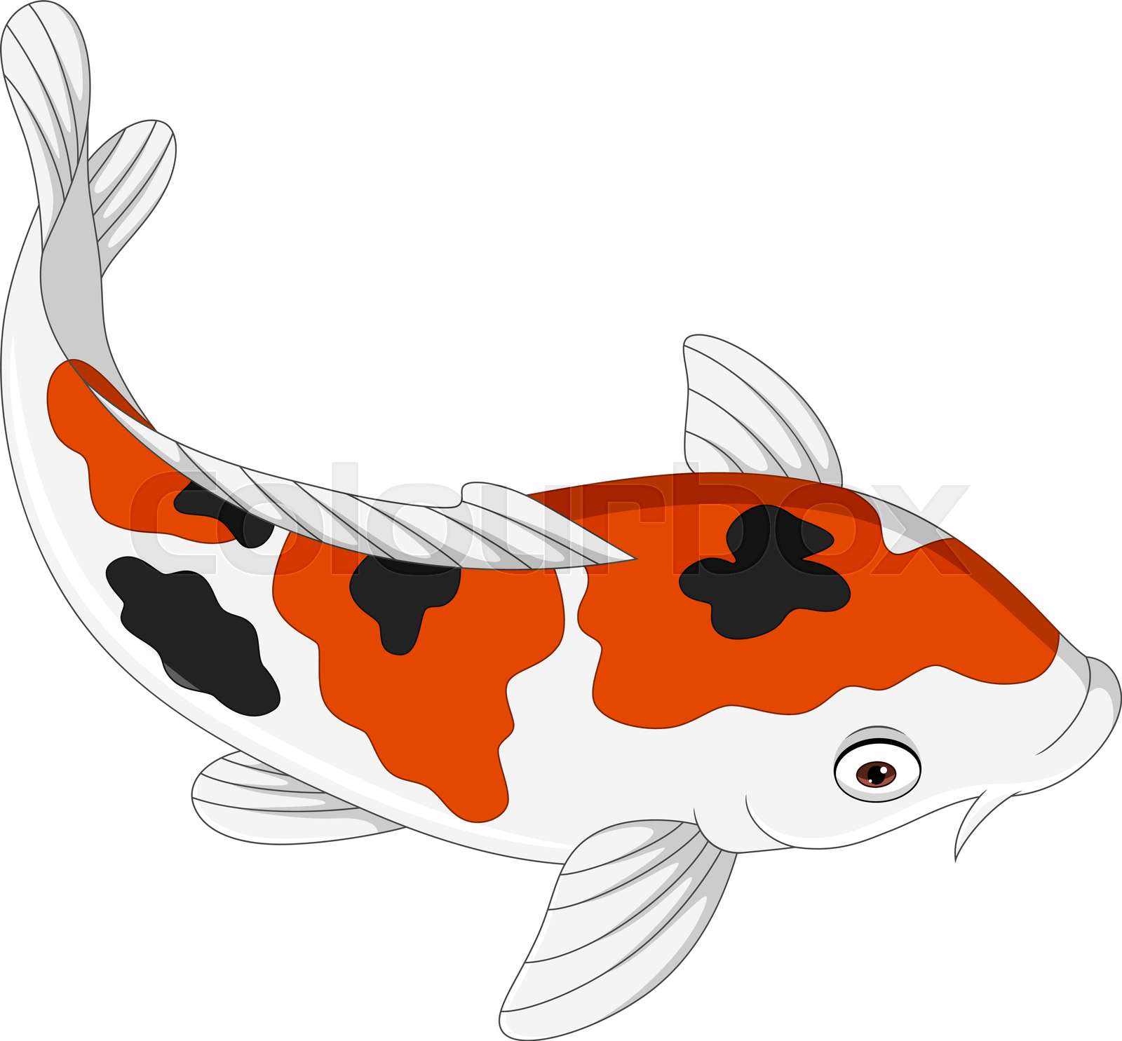 Cartoon cute koi fish on white background | Stock vector | Colourbox