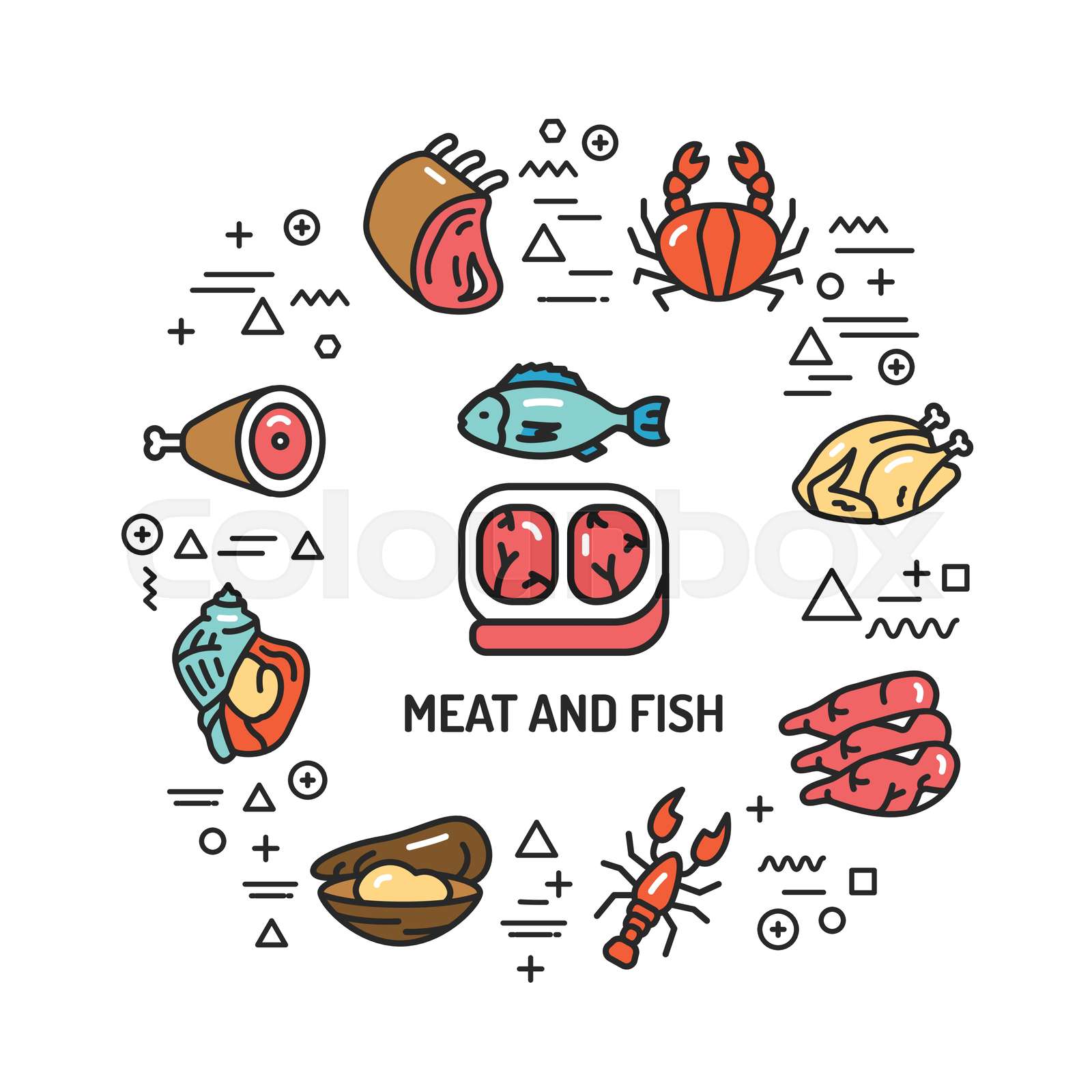 Fish Meat Drawing