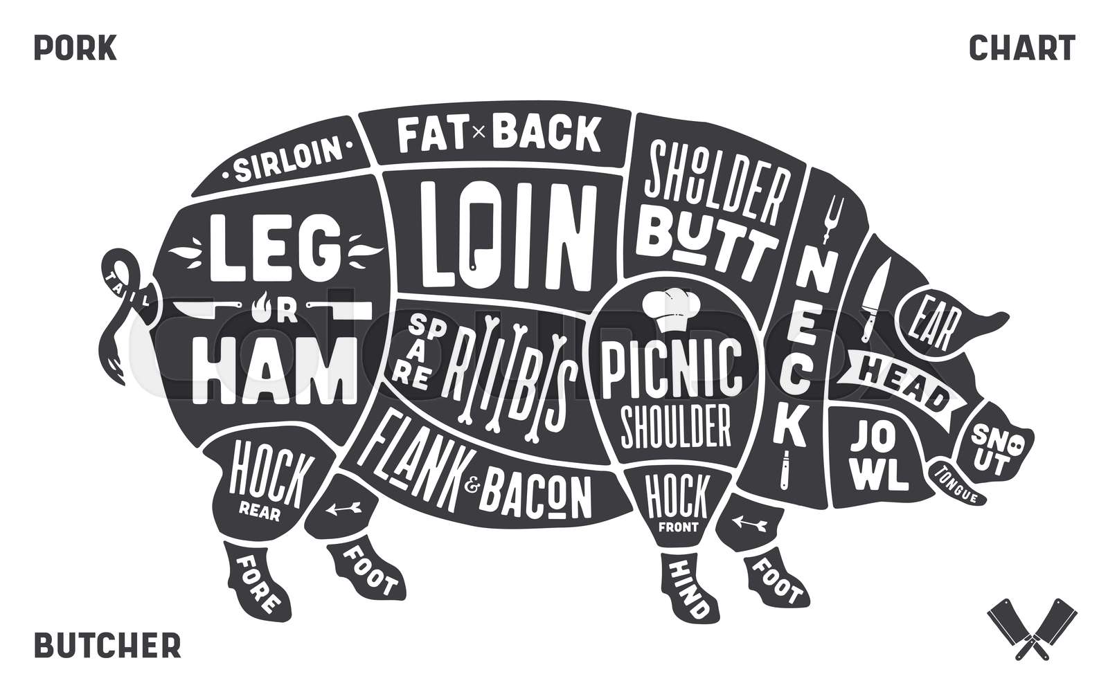 Pork, pig. Scheme, diagram, chart pork, butcher guide | Stock vector ...