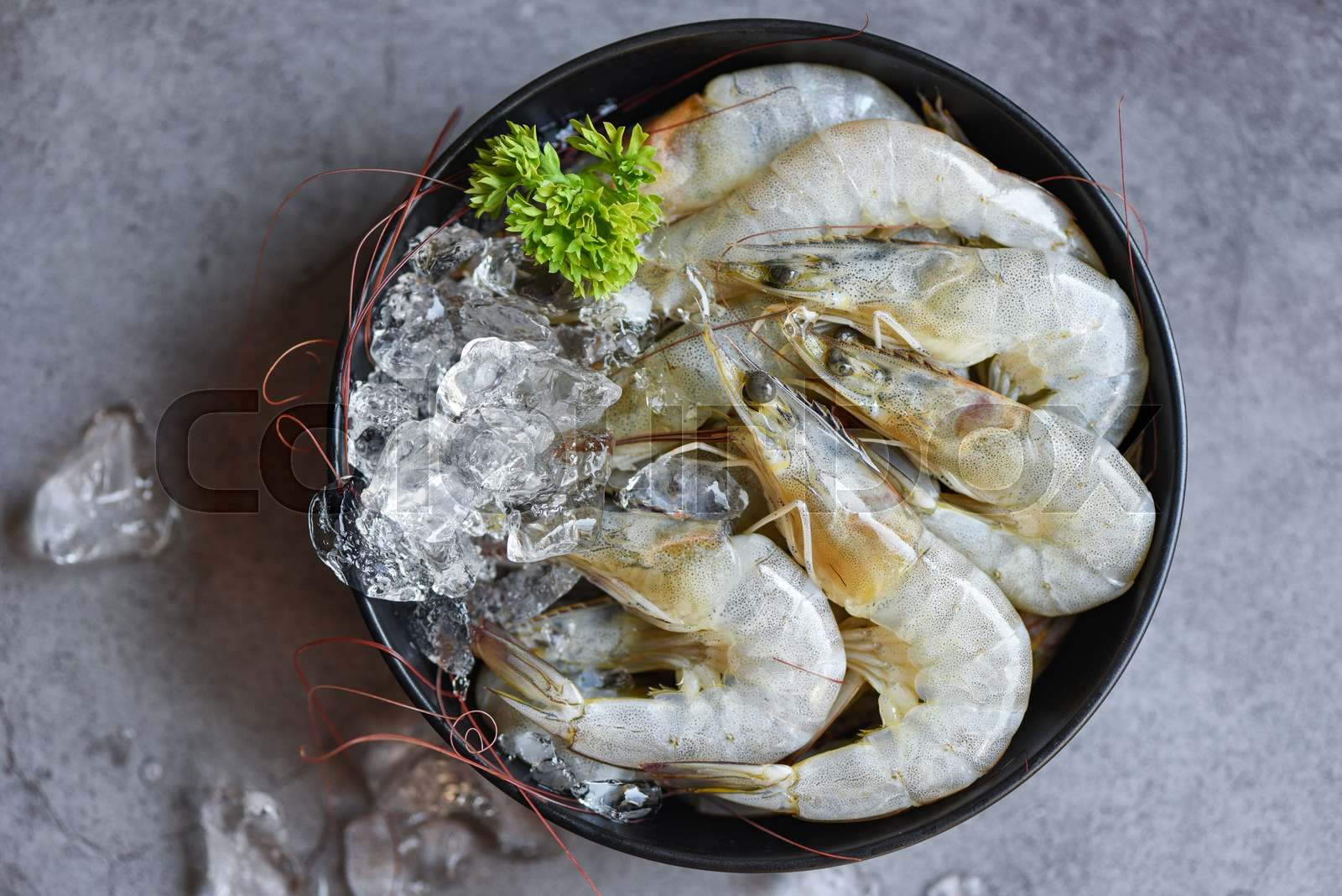 Fresh Shrimp On Ice