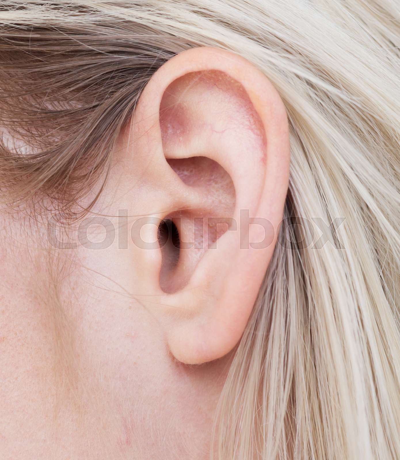 Woman ear | Stock image | Colourbox