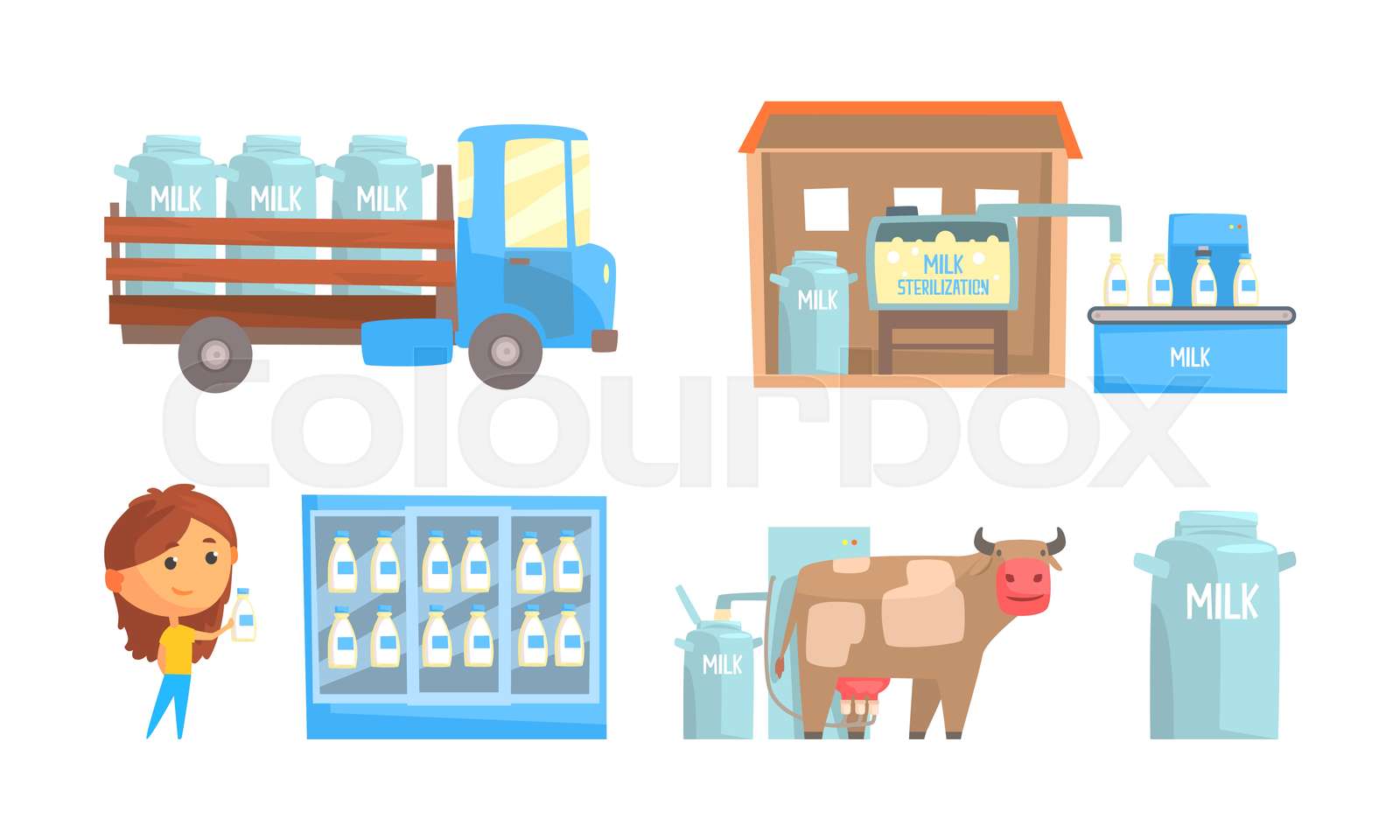 Milk Production with Cow Milking and Merchandise Shelf with Dairy ...