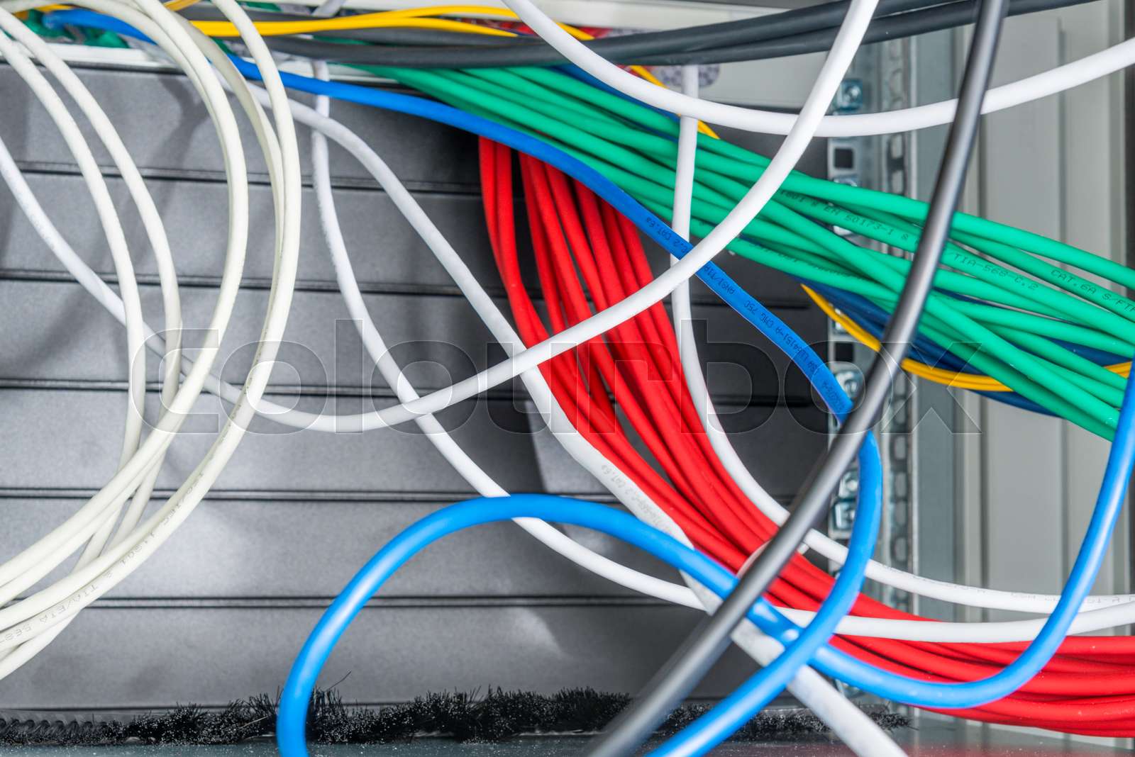 large group of UTP cables, Ethernet cables in rack cabinet, lead ...