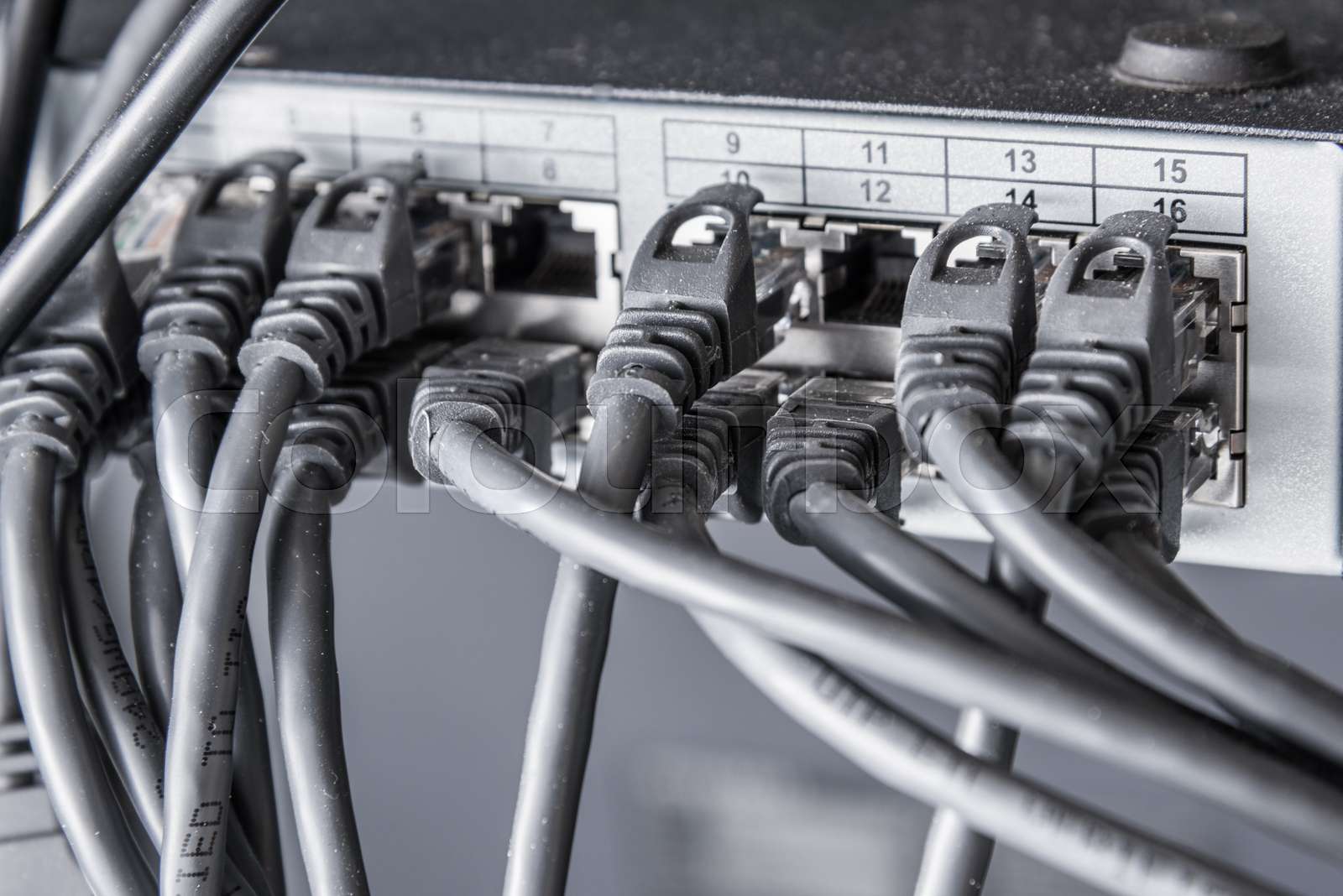 black ethernet cables connected to switch | Stock image | Colourbox