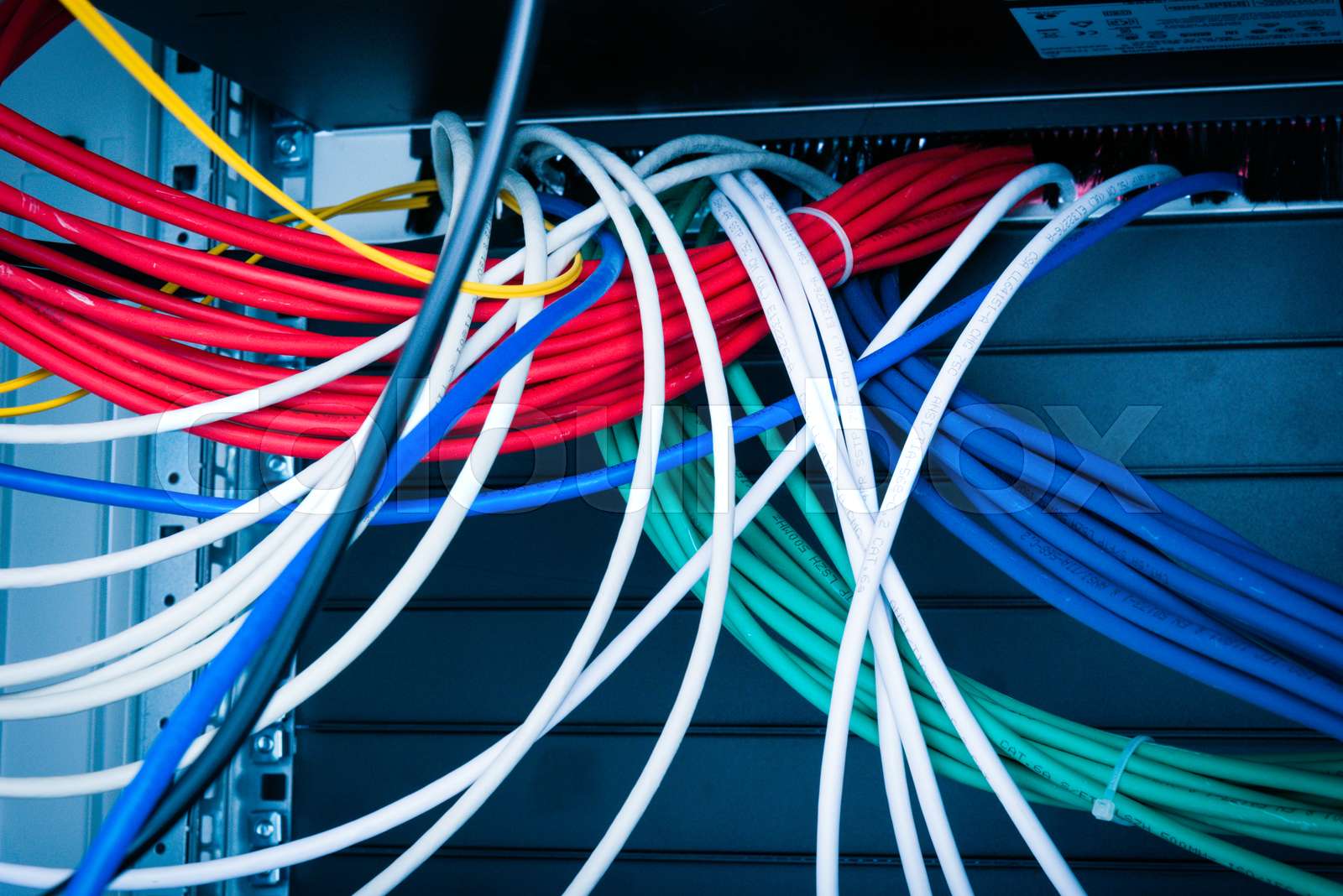 large group of UTP cables, Ethernet cables in rack cabinet, lead ...