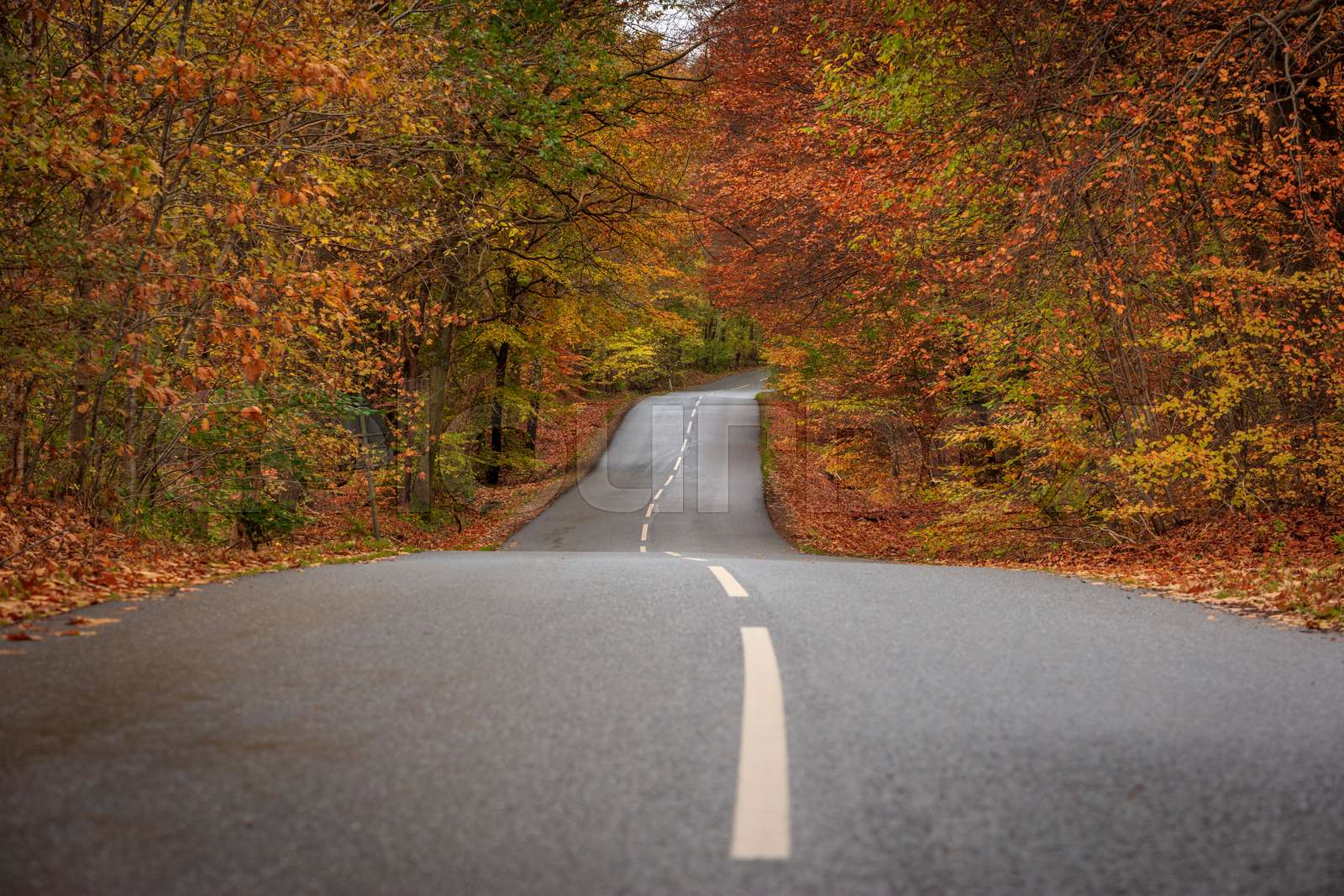 A local Road | Stock image | Colourbox