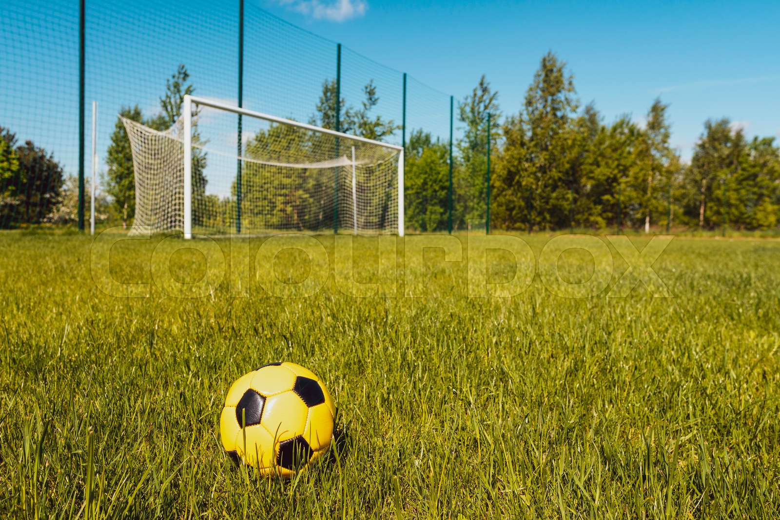 Soccer Field With Goal And Ball