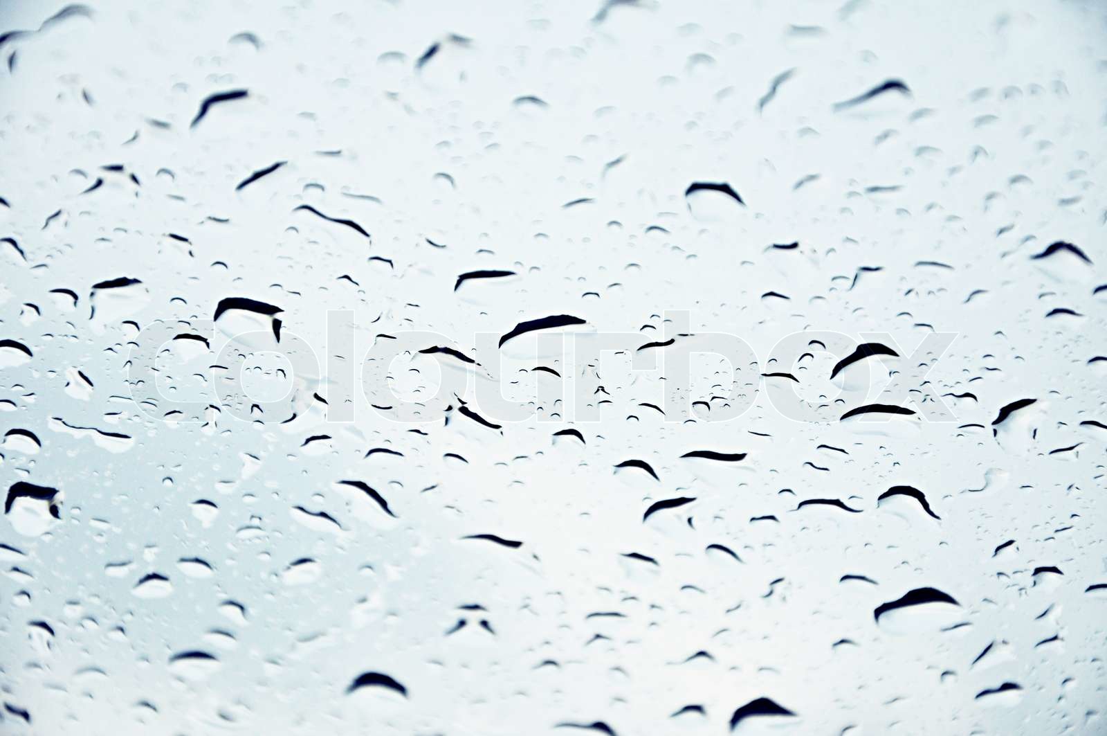 Water droplets on the glass | Stock image | Colourbox