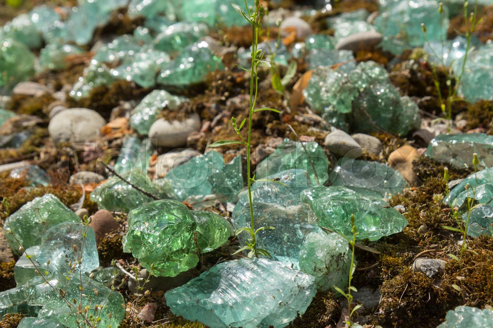 green raw glass on ground | Stock image | Colourbox