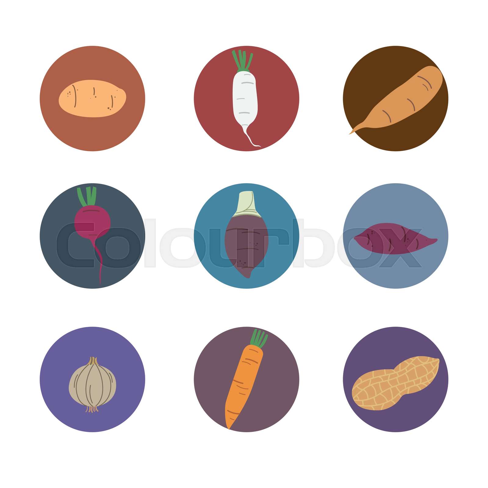 tuber flat icon | Stock vector | Colourbox