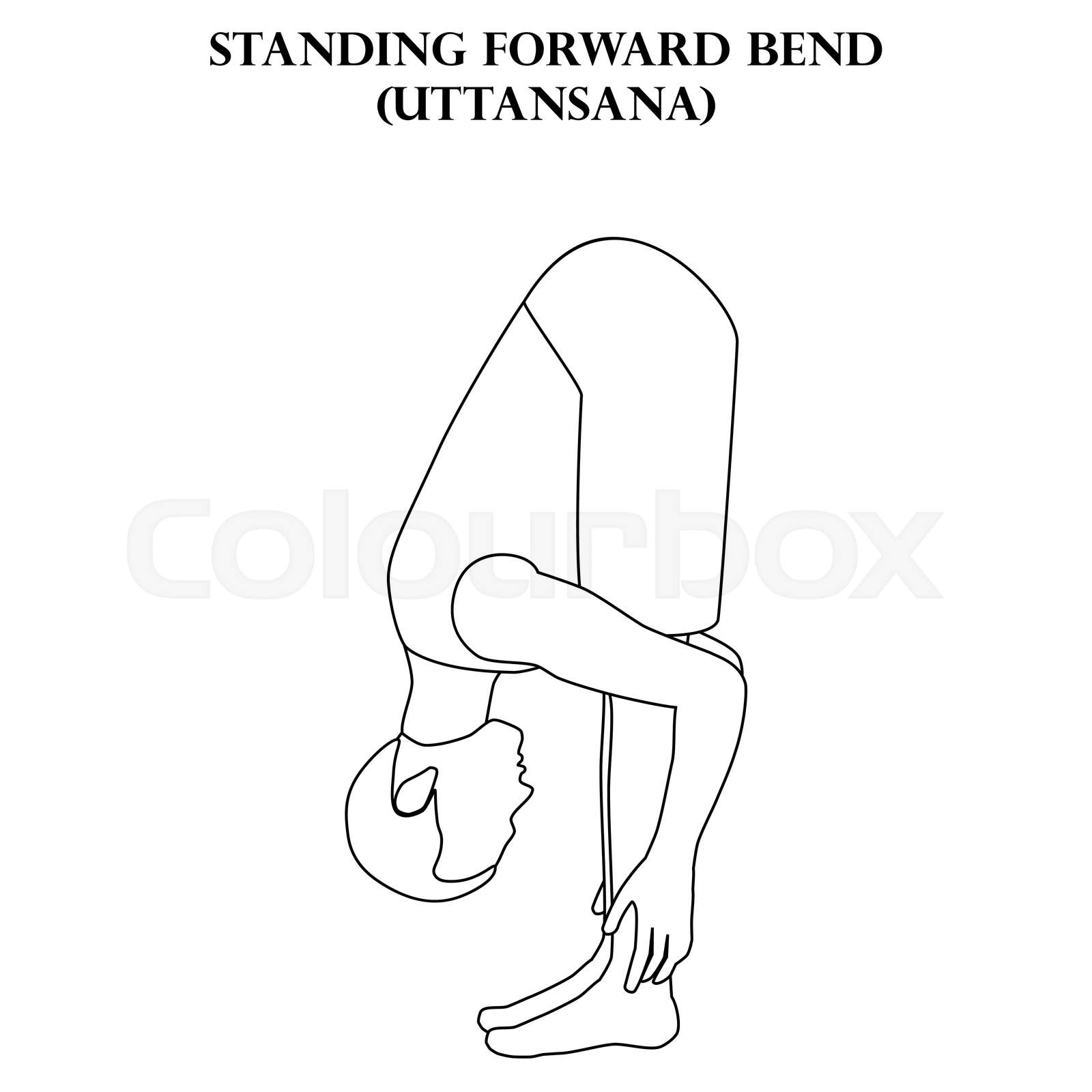 Standing Forward Bend pose yoga workout. Uttansana. Man doing yoga ...