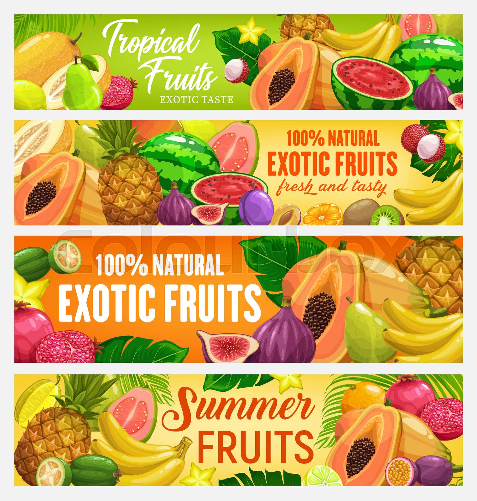 Exotic fruit or tropical berry banners | Stock vector | Colourbox