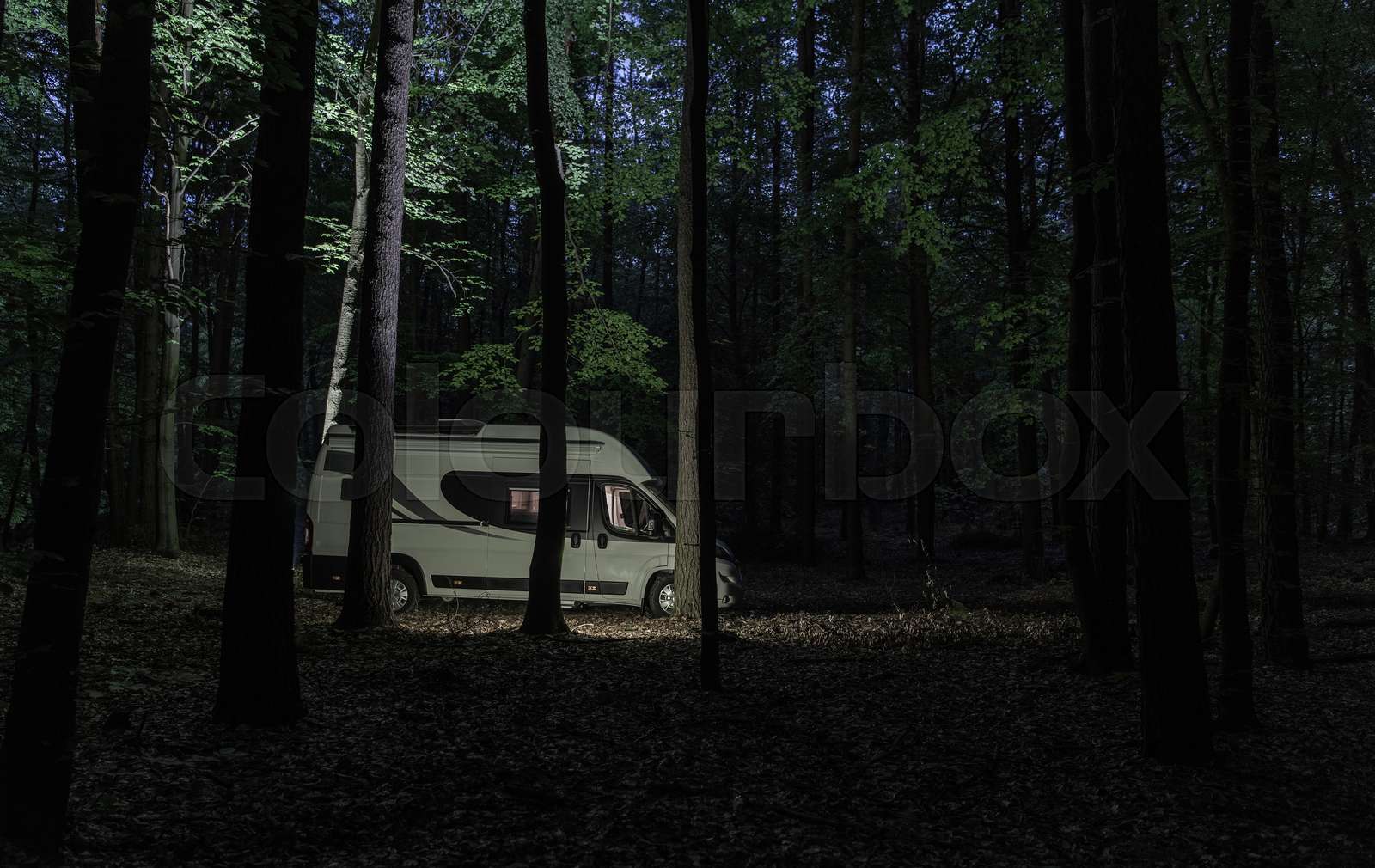 Camper Van Camping Inside the Forest During Night Time | Stock image ...
