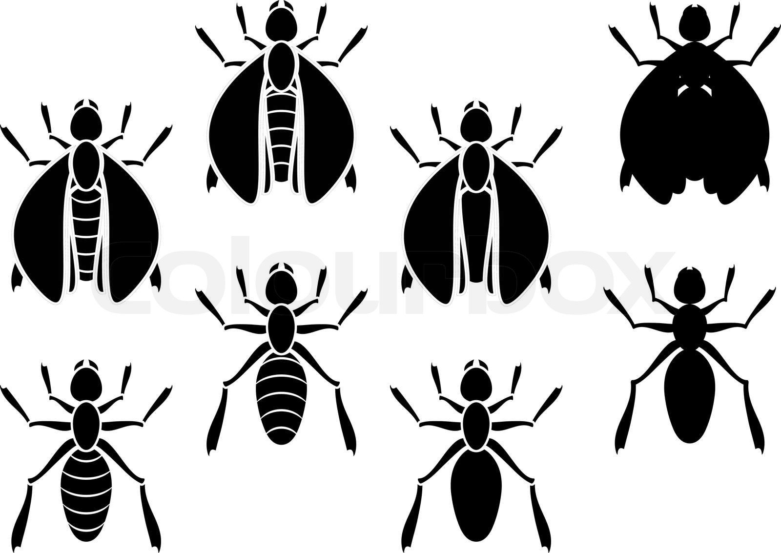 set of insects. stencils. vector illustration | Stock vector | Colourbox