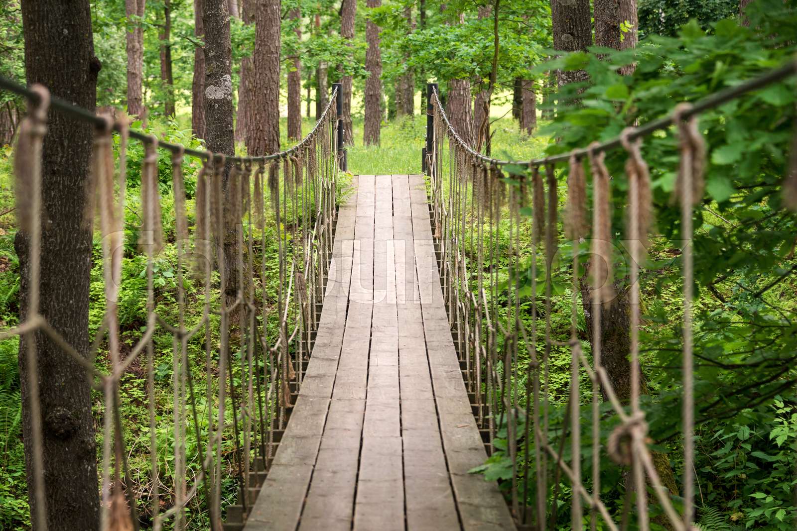 Suspension wooden bridge in the forest. Rope bridge suspended between ...