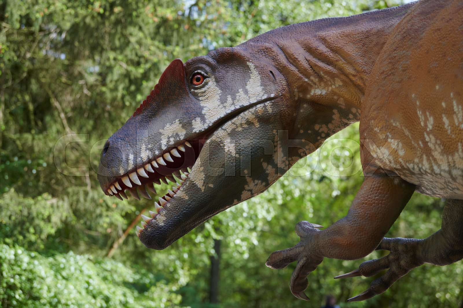 rex, dino, dinosaur | Stock image | Colourbox