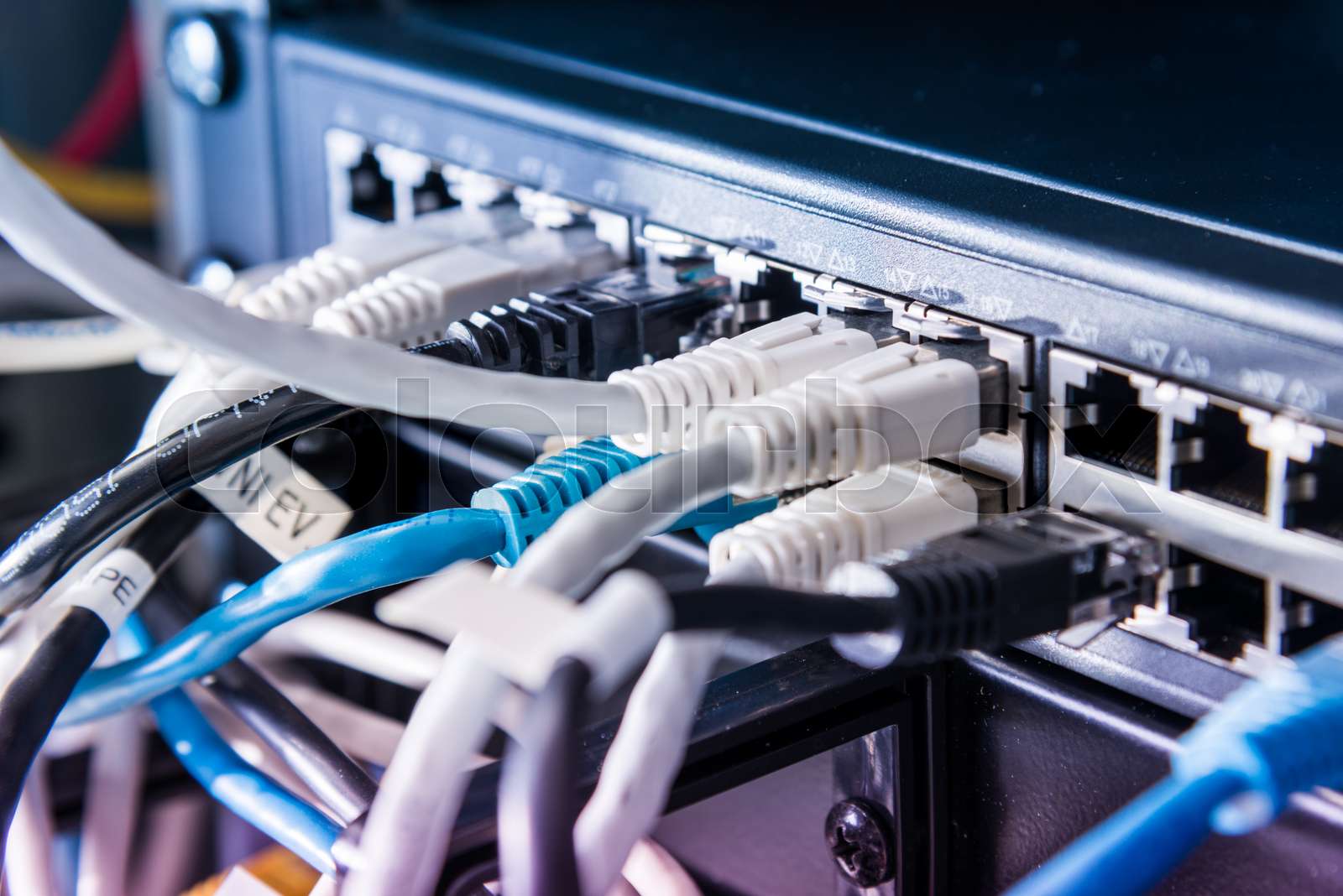 Ethernet Cables Connected To Server Switch Stock Image Colourbox