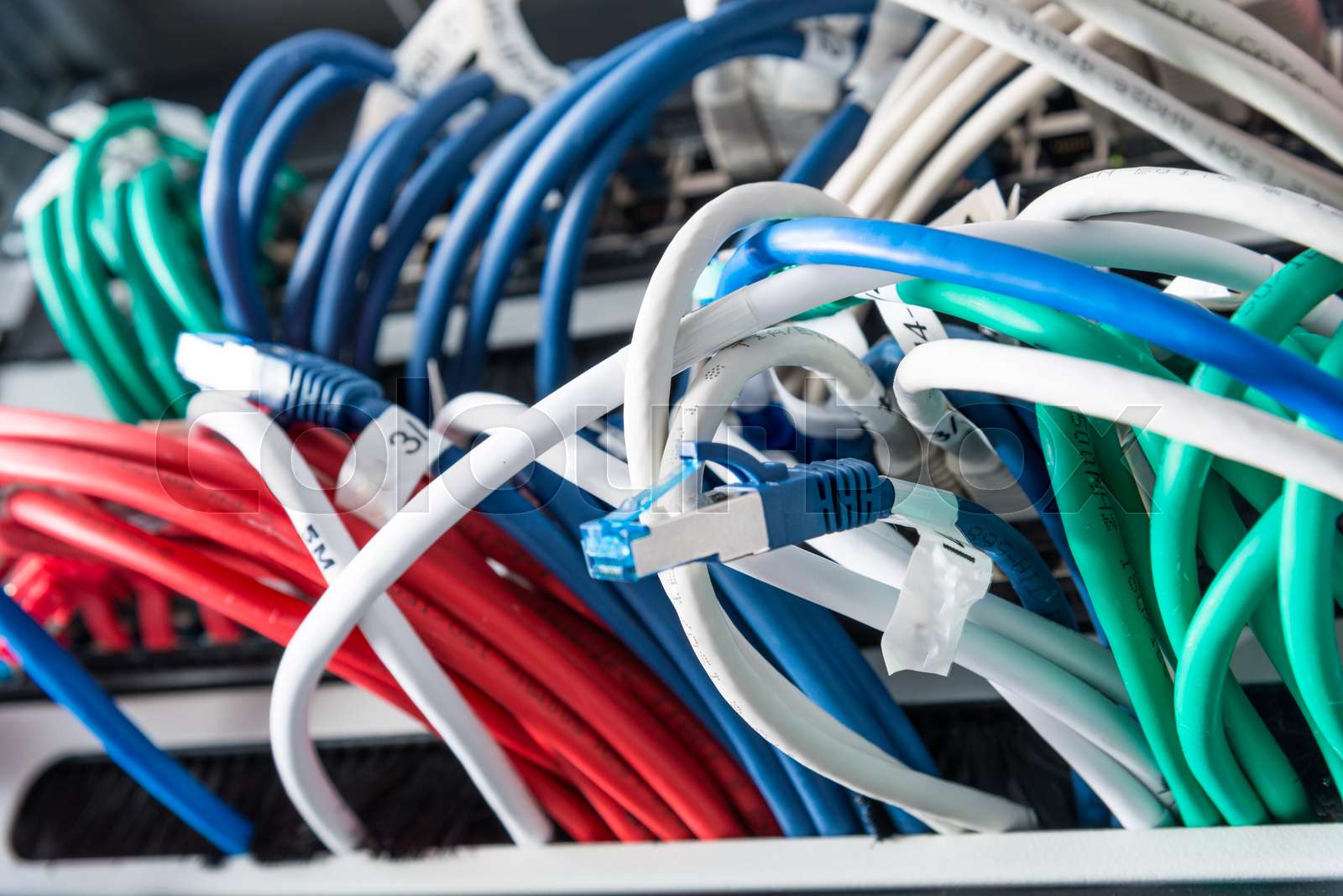 large group of UTP cables, Ethernet cables in rack cabinet, lead ...