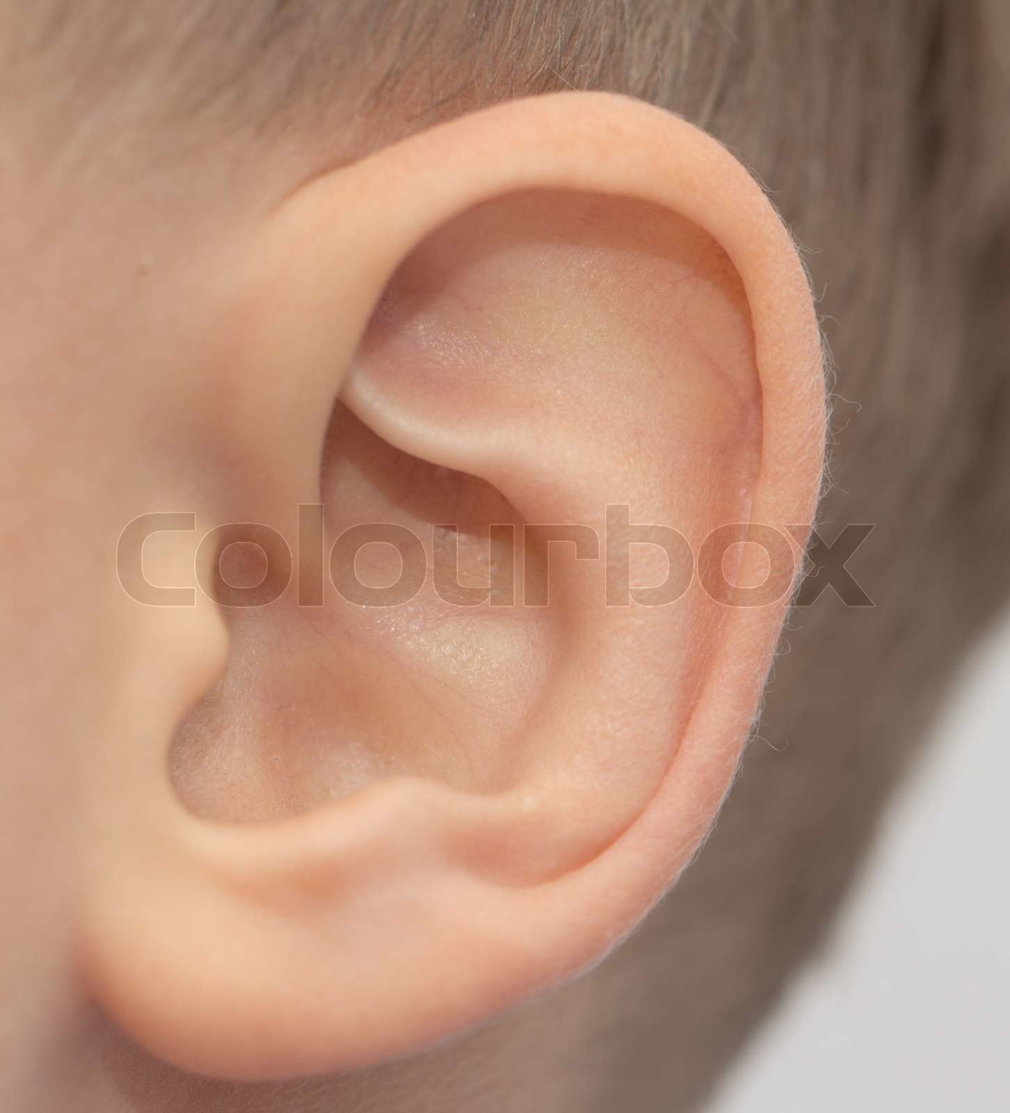 Kindes Ohr Makro | Stock Bild | Colourbox