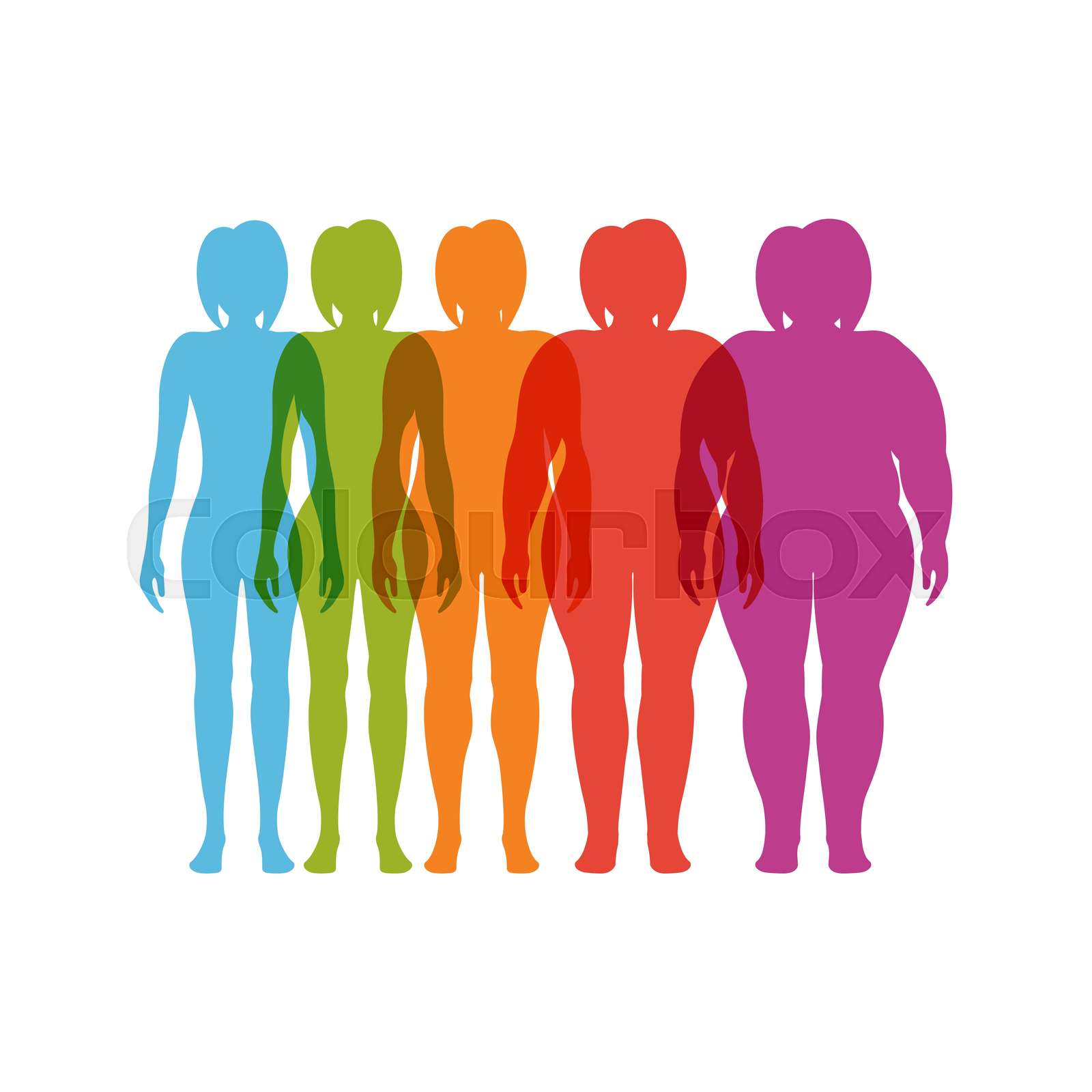 Body mass index vector illustration | Stock vector | Colourbox