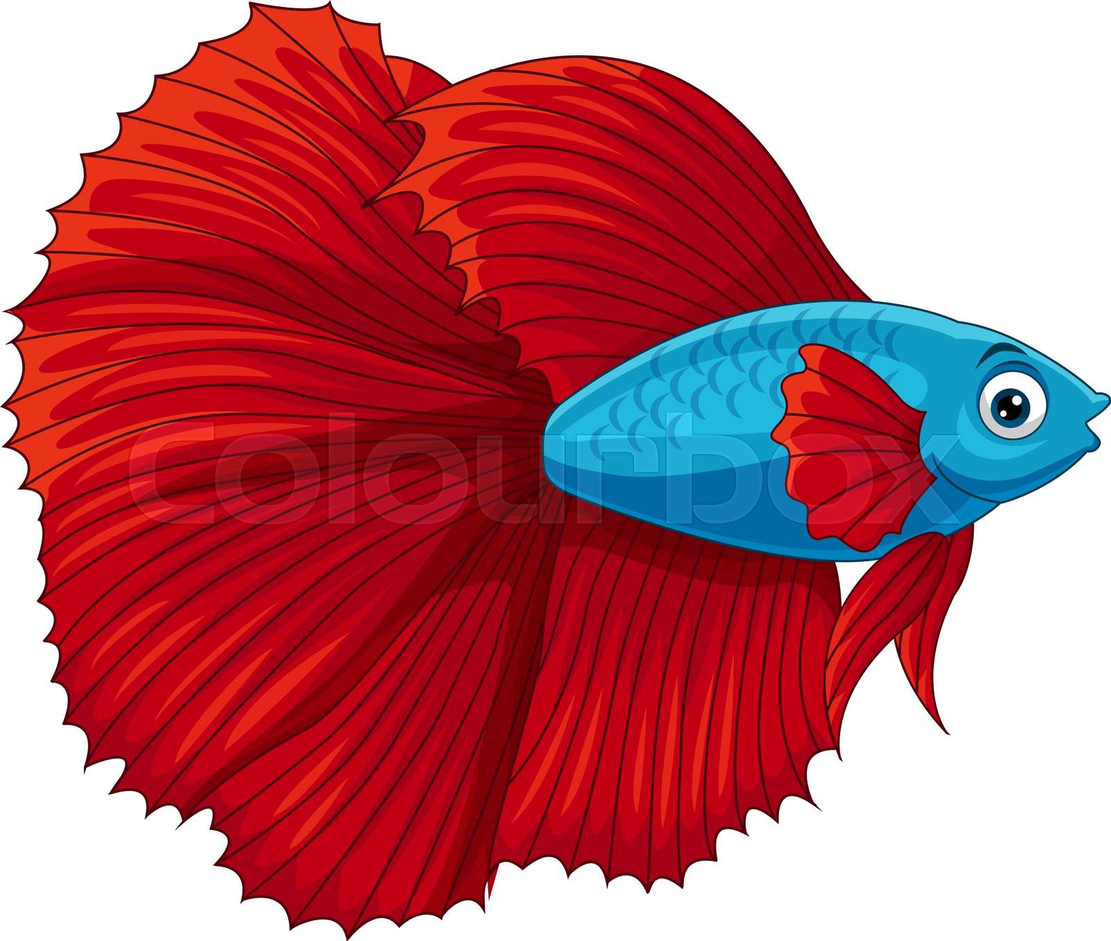 Cartoon betta fish or siamese fighting fish | Stock vector | Colourbox