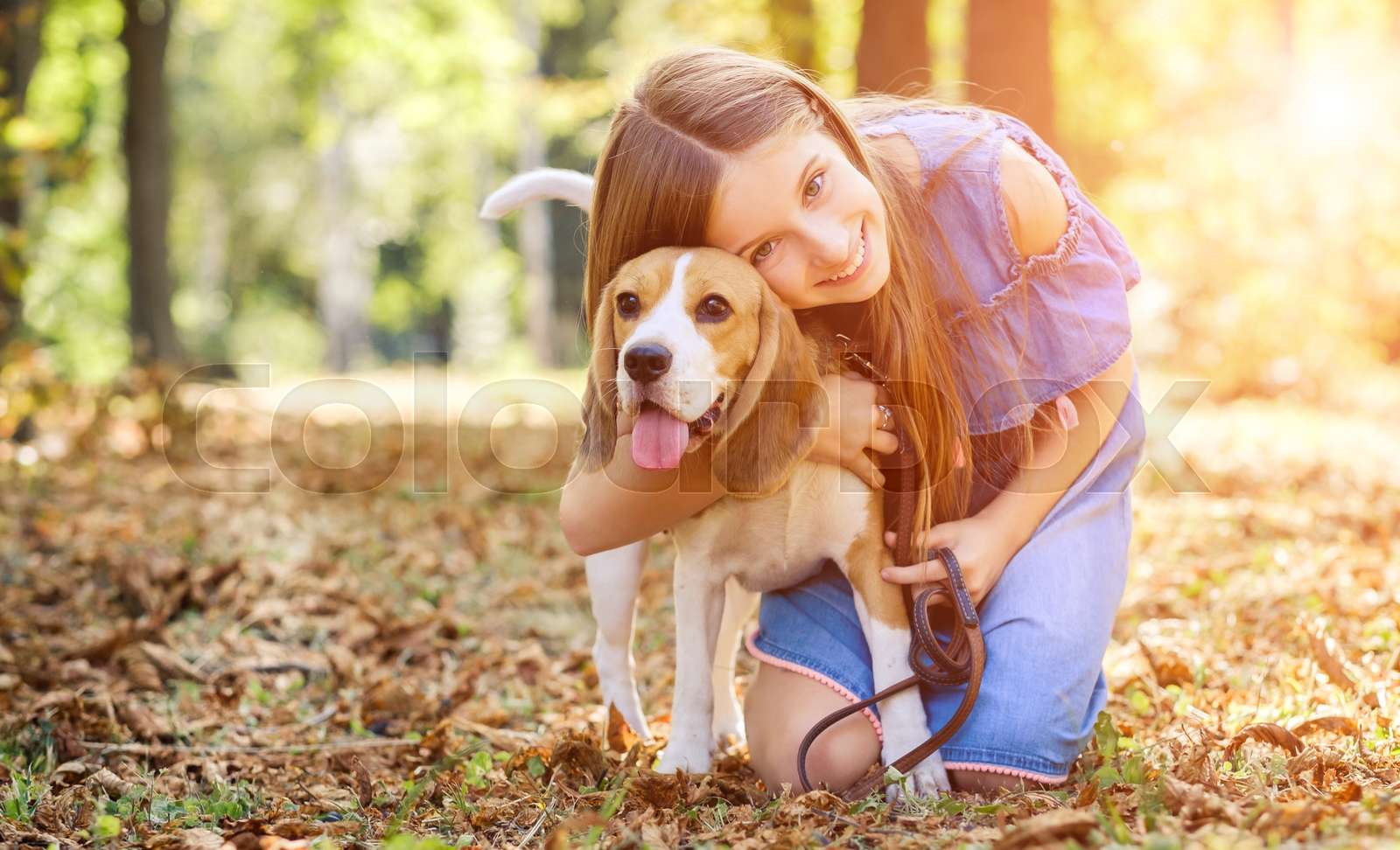 Cheerful kid hugging a dog | Stock image | Colourbox