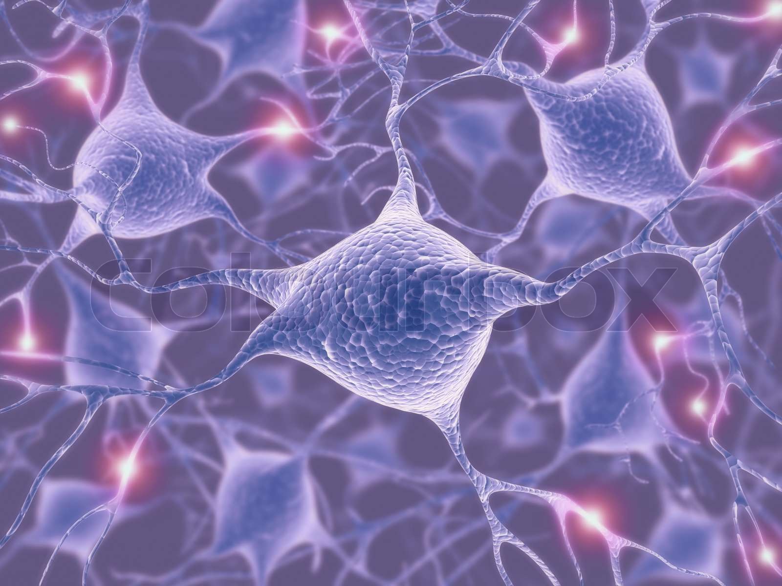 Neuron Concept | Stock image | Colourbox