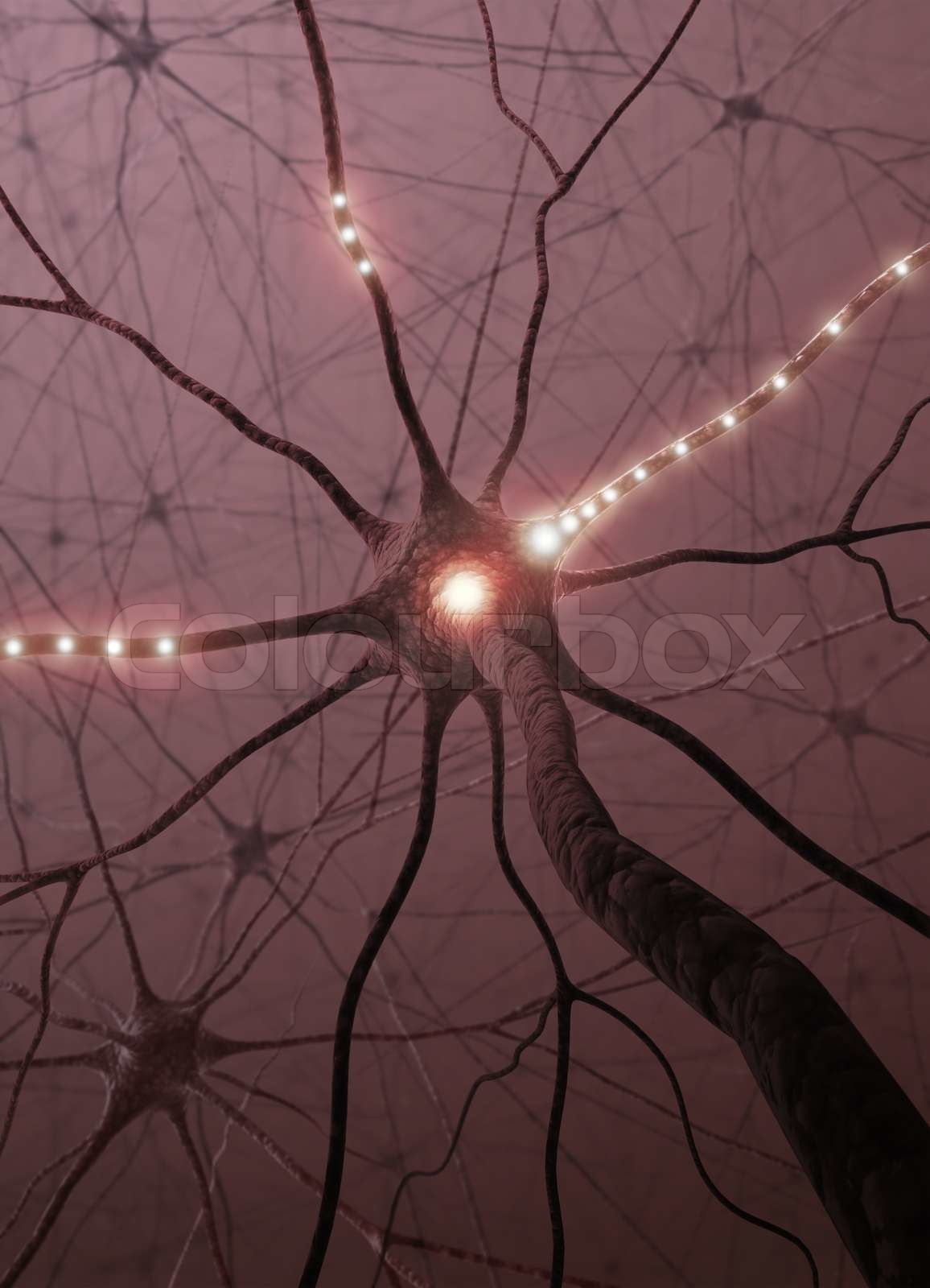 Neuron Concept | Stock image | Colourbox