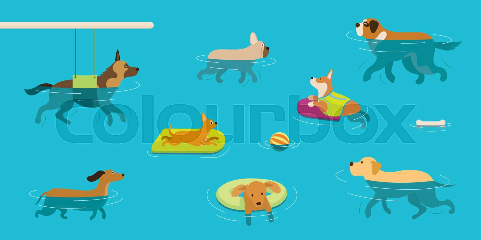 Dogs Swimming in Water or Pool | Stock vector | Colourbox