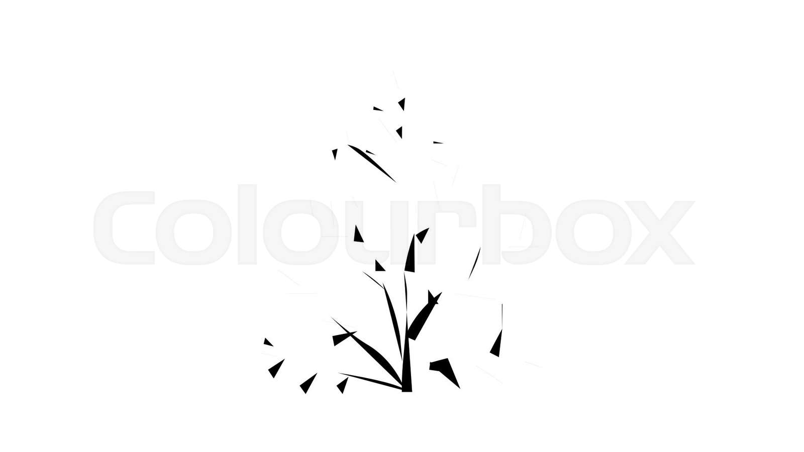 zeder, icon, frucht | Stock Video | Colourbox