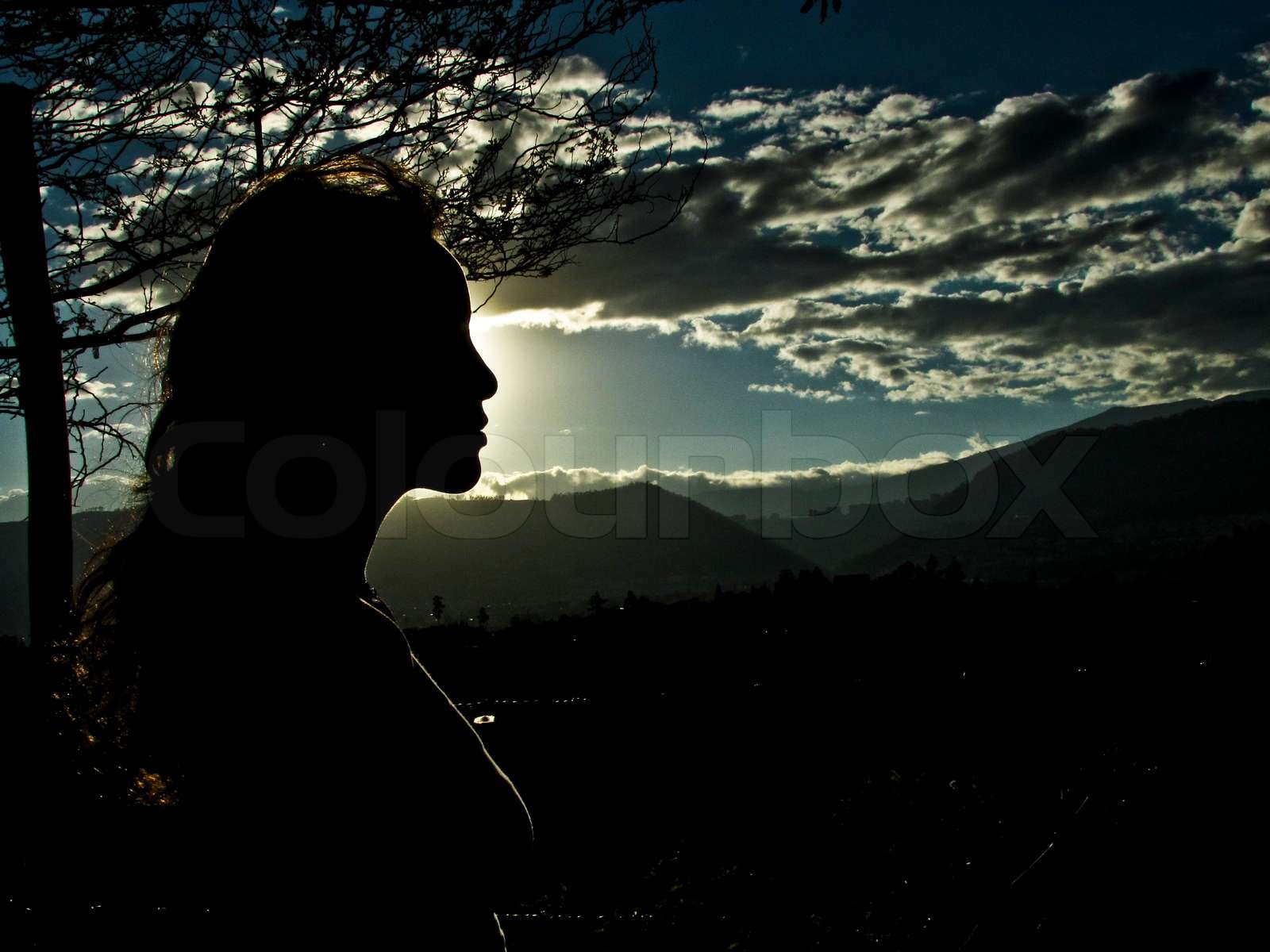 Retrato a contraluz de una bella mujer | Stock image | Colourbox