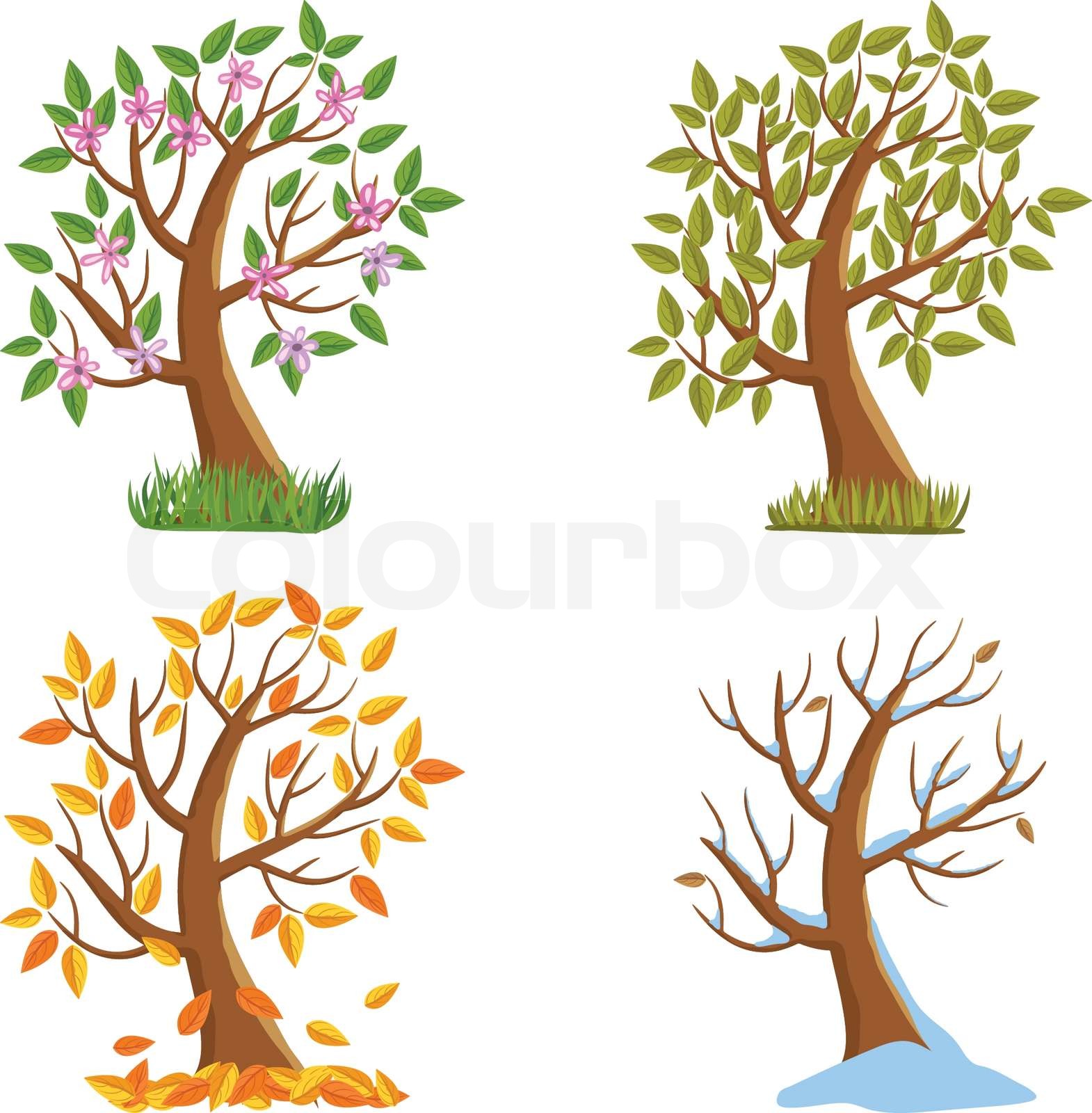 Four Seasons Tree | Stock vector | Colourbox