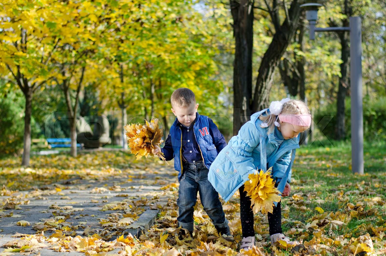 Children having fun collecting autumn leaves | Stock image | Colourbox